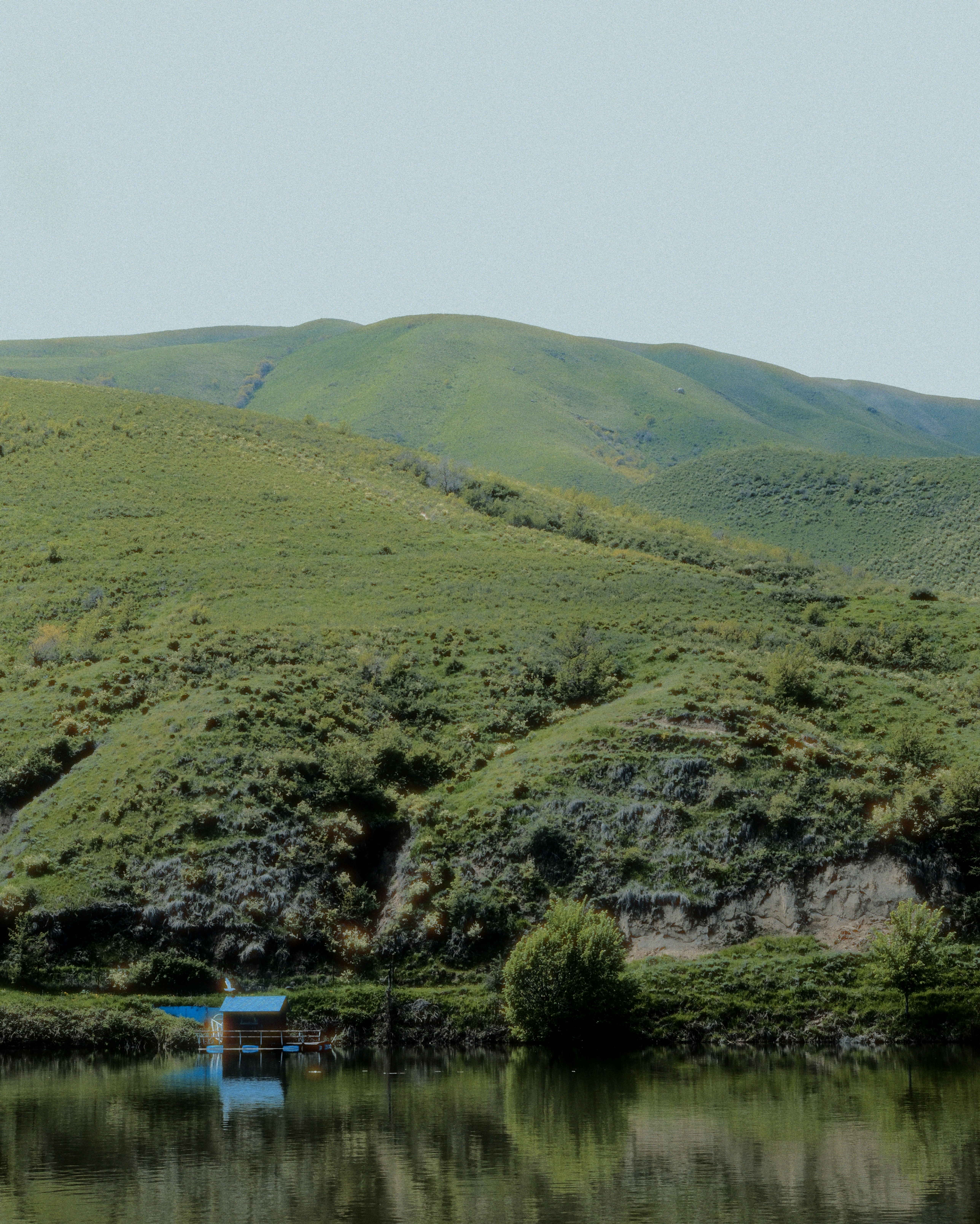Green Hills and Quiet Water: A Calming Riverside Scene