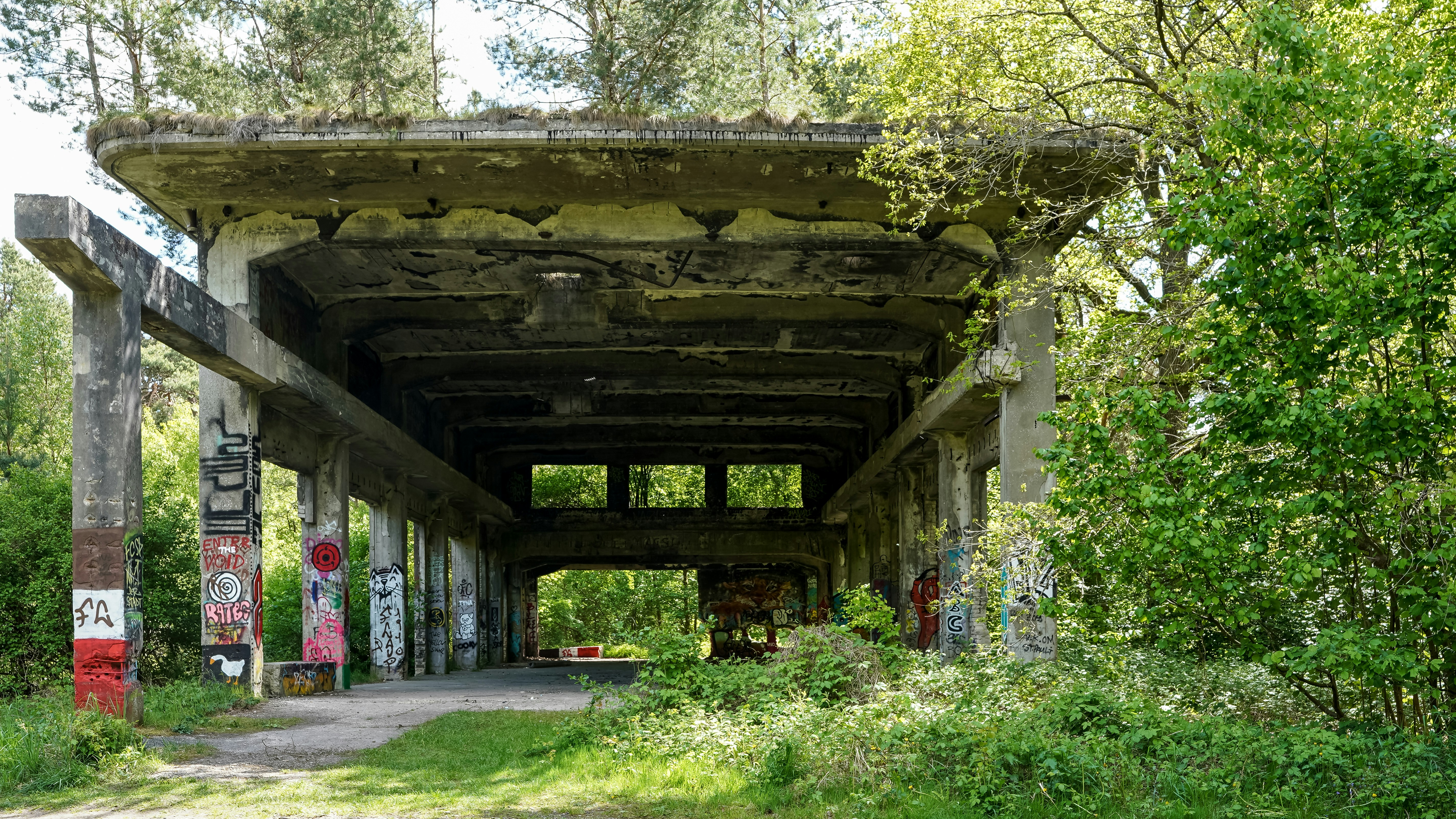 Overgrown Archway: Nature Reclaims a Graffiti-Streaked Concrete Hall