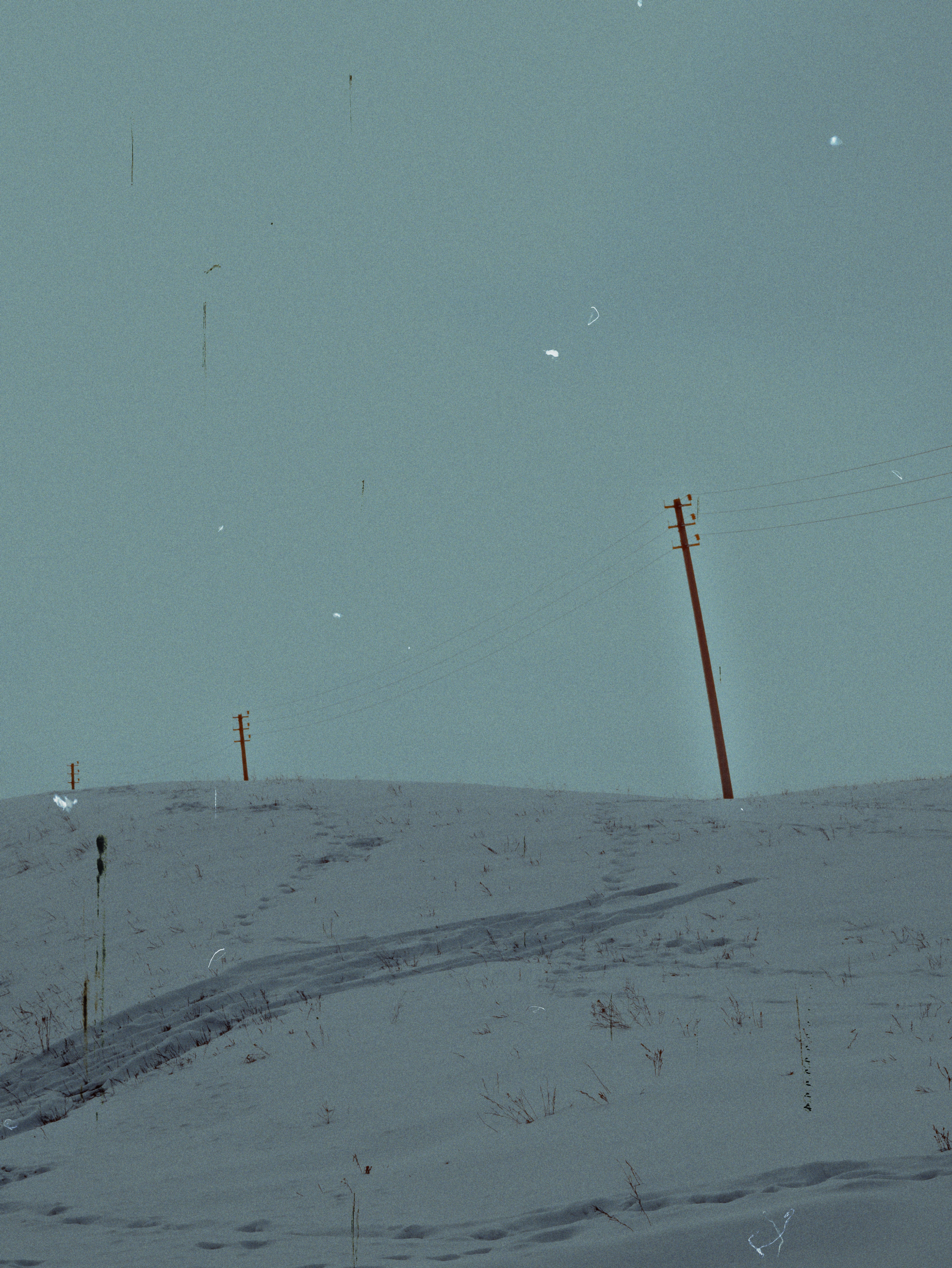 Pole Lines Across a Quiet Snowfield