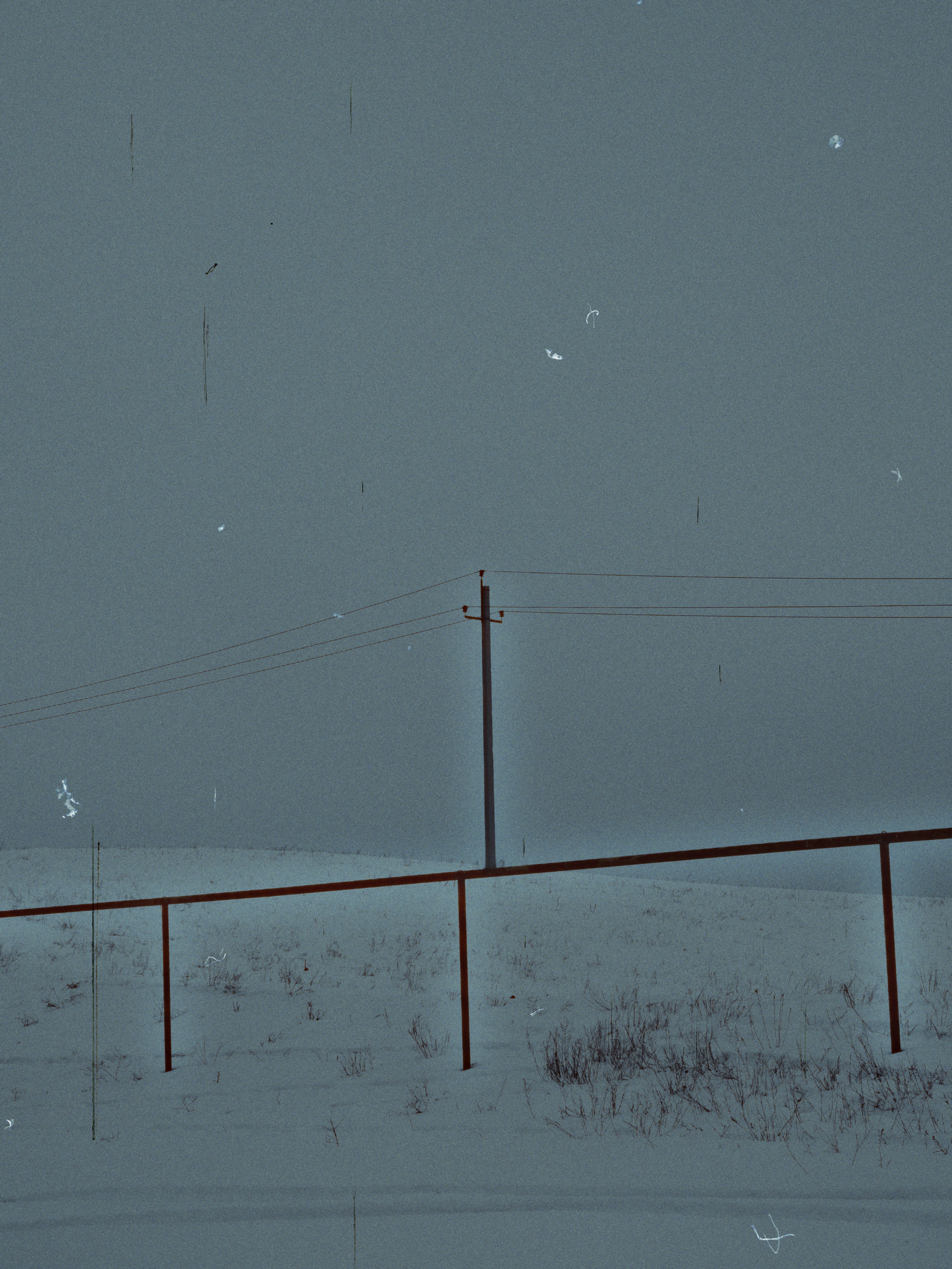 Midwinter Fence and Utility Pole: Quiet Horizon
