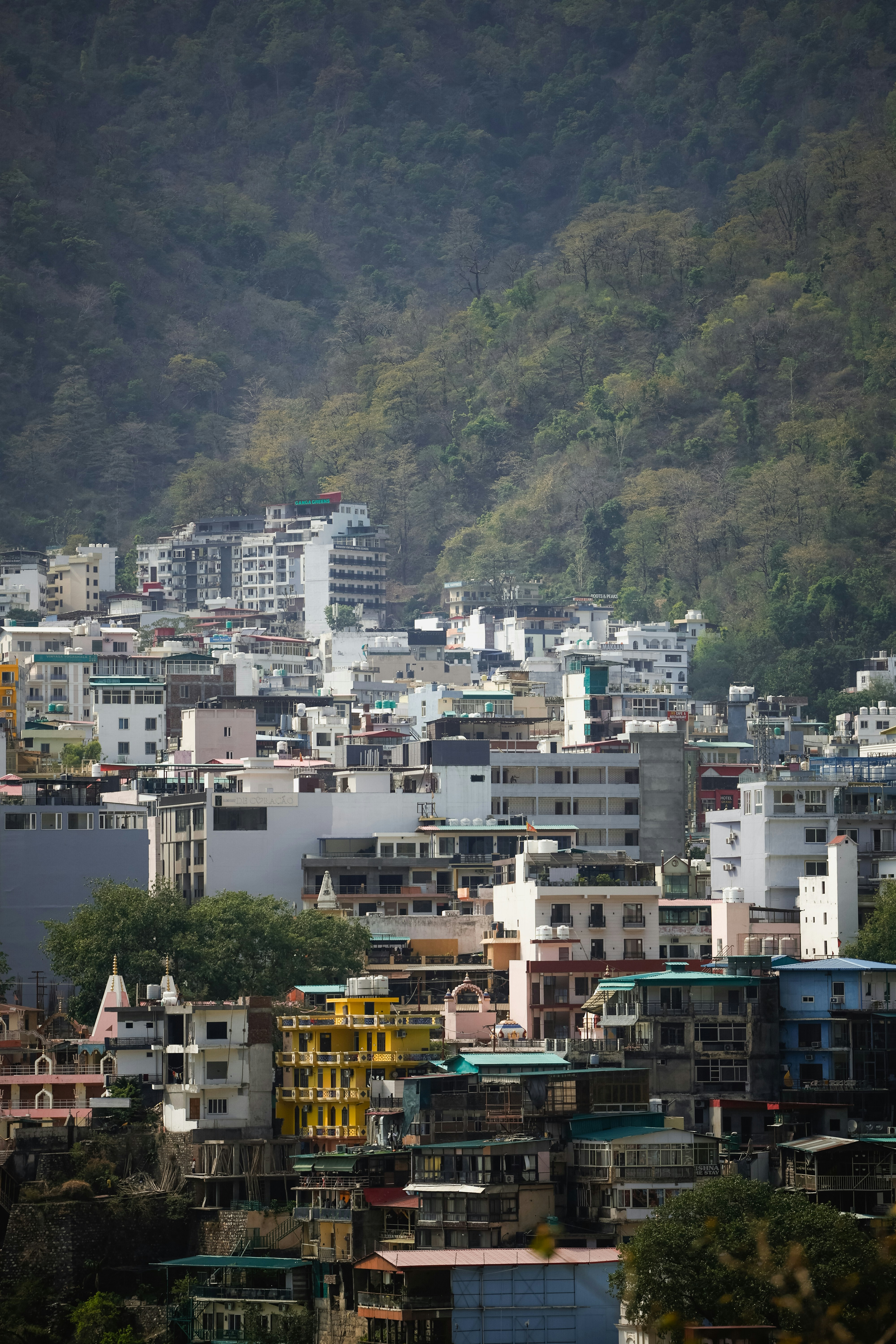 Terraced Cityscape Nestled at the Foot of a Verdant Slope