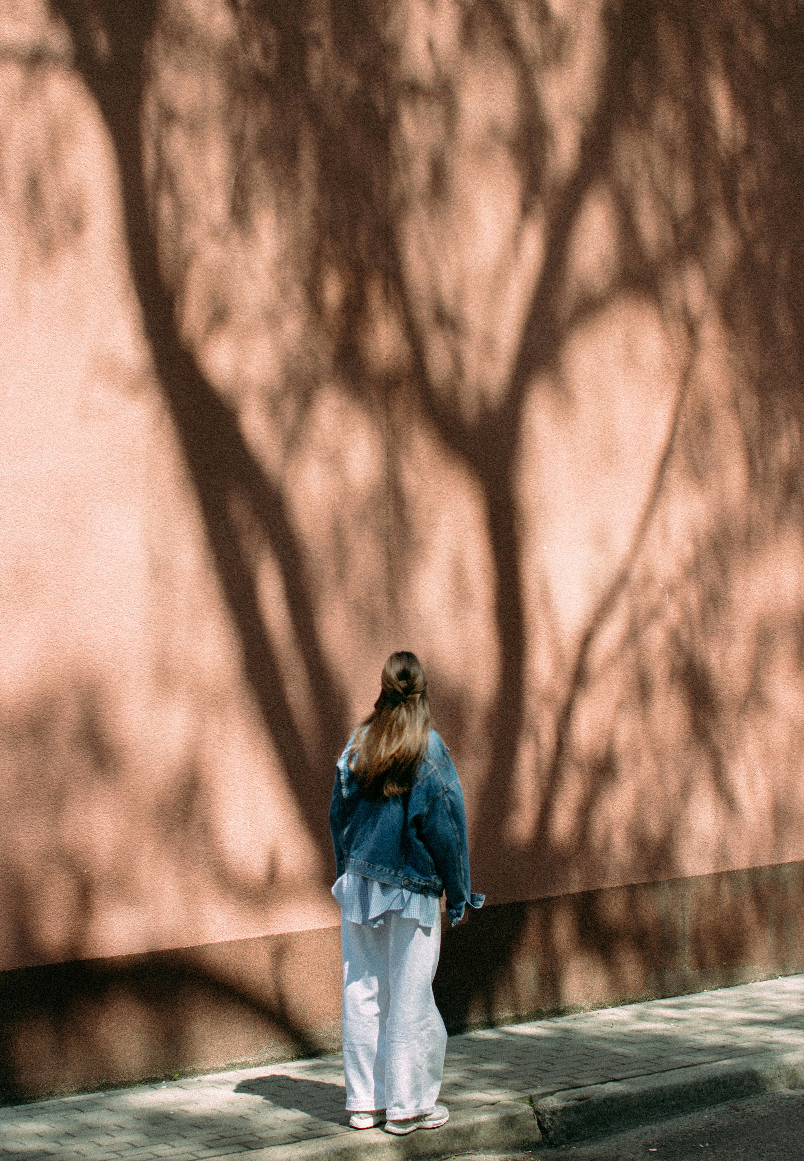 A Quiet Walk Along the Peach Wall