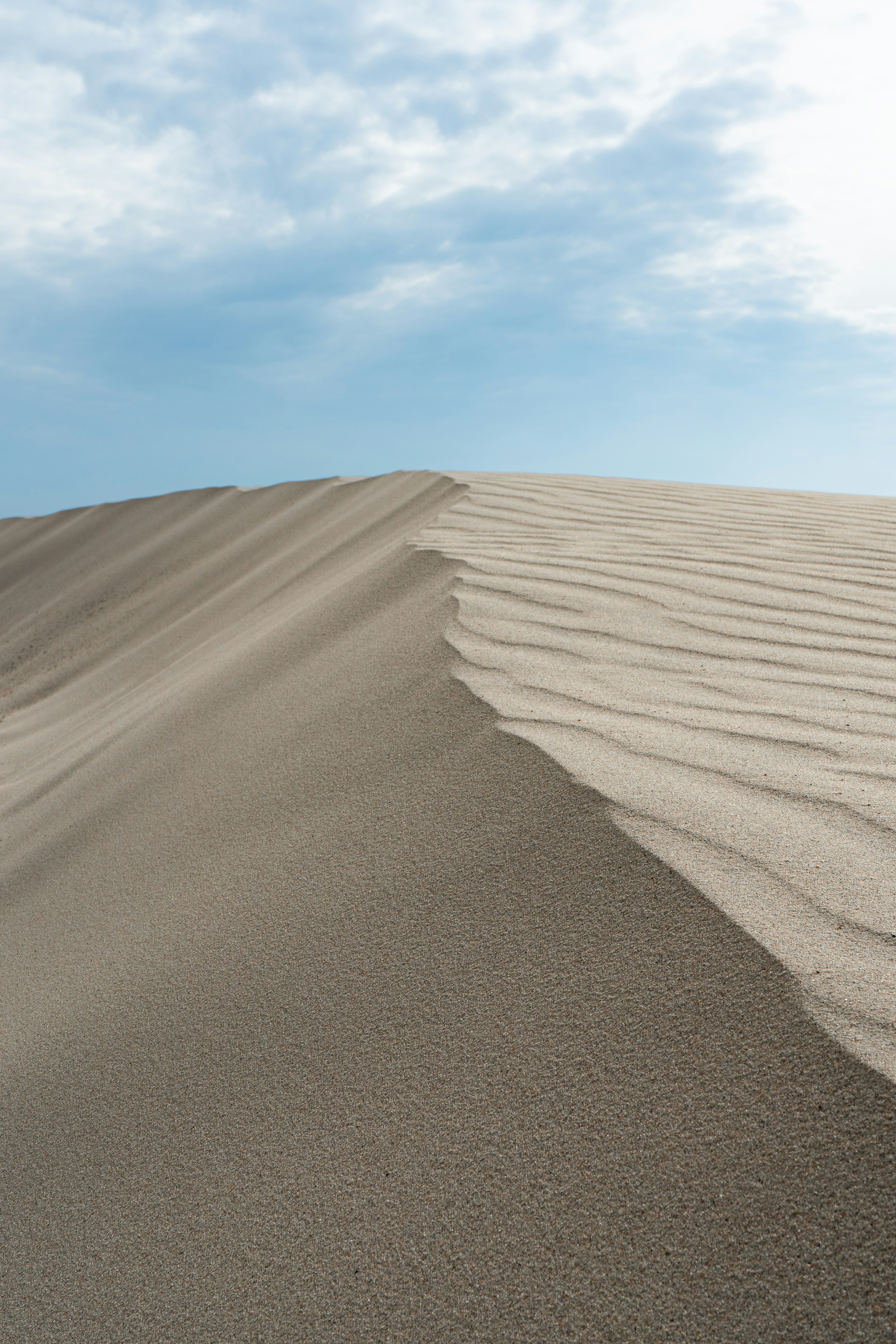 Dune Crest at Midsummer Light