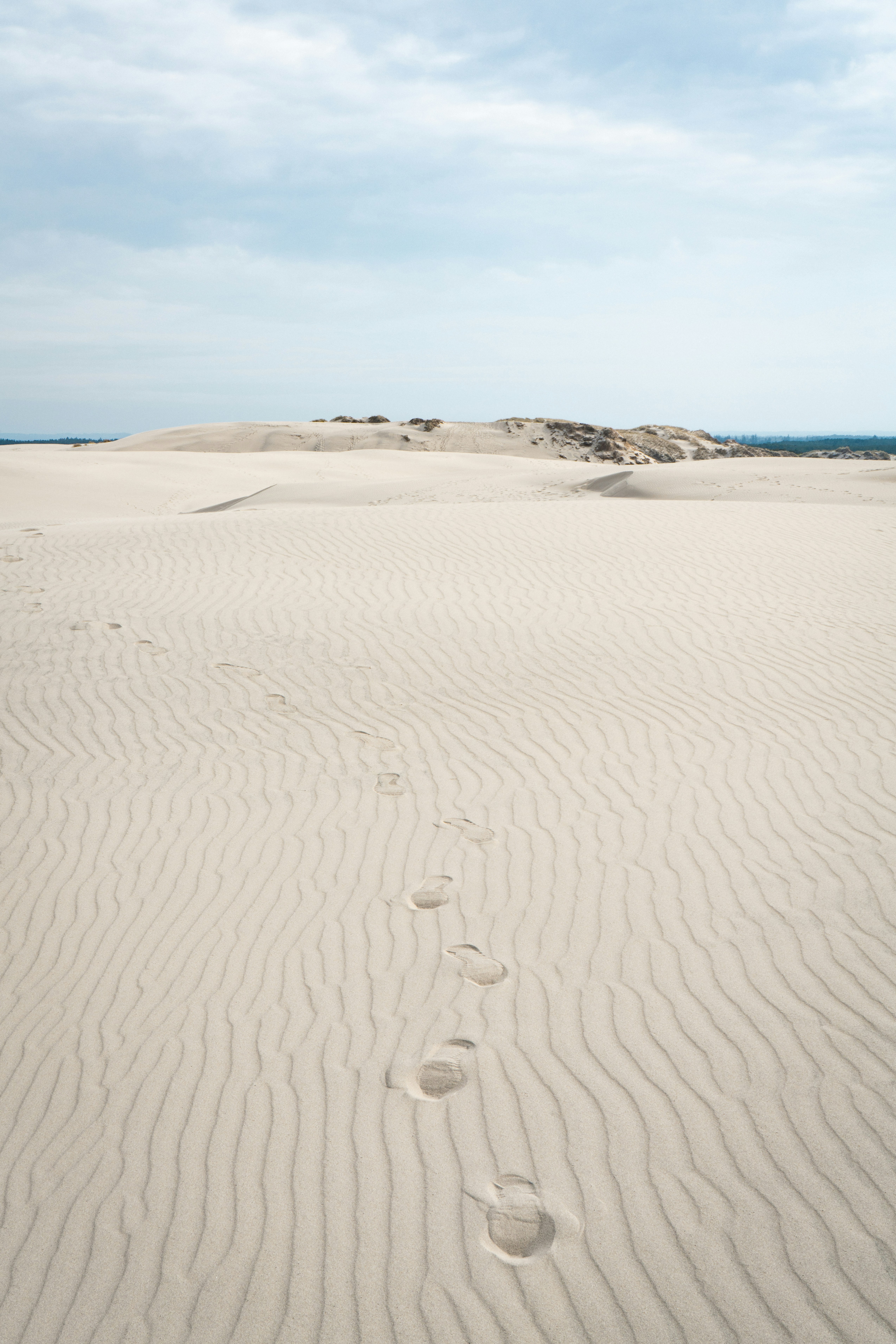 Footprints Across the Whispering Dunes