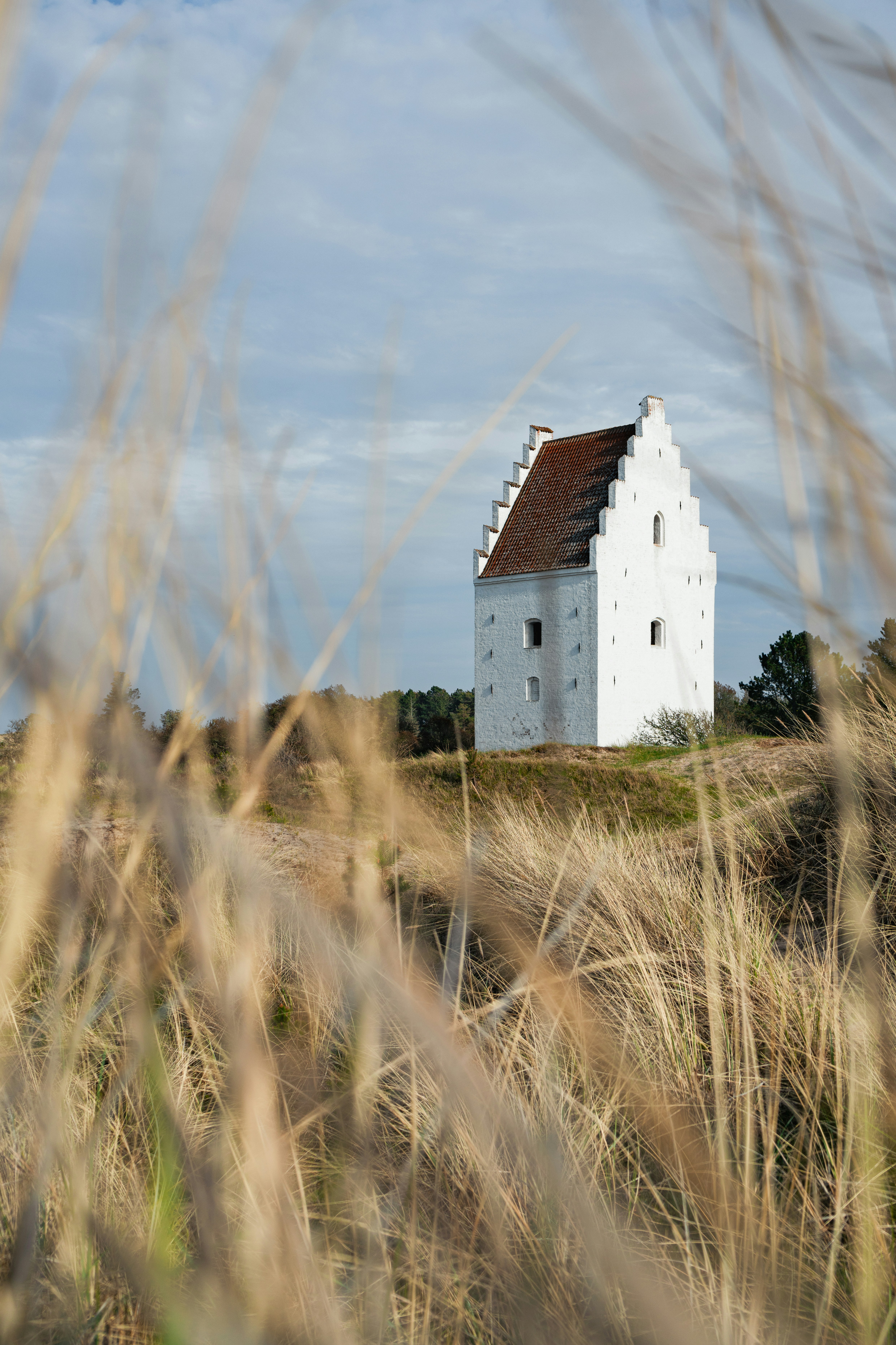 White Chapel Emerges Through Sea of Golden Grass