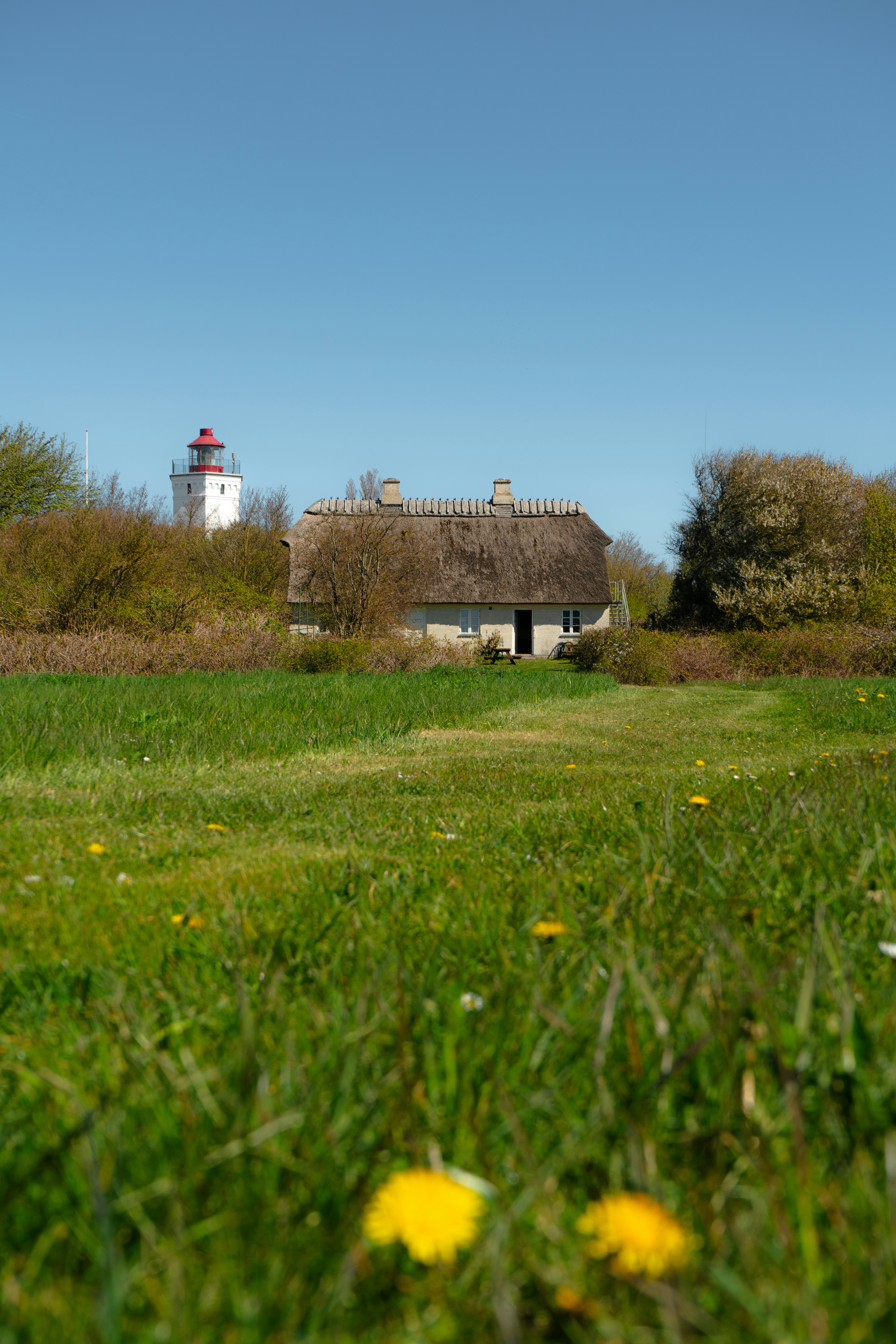 Thatched Cottage and Lighthouse in a Spring Field