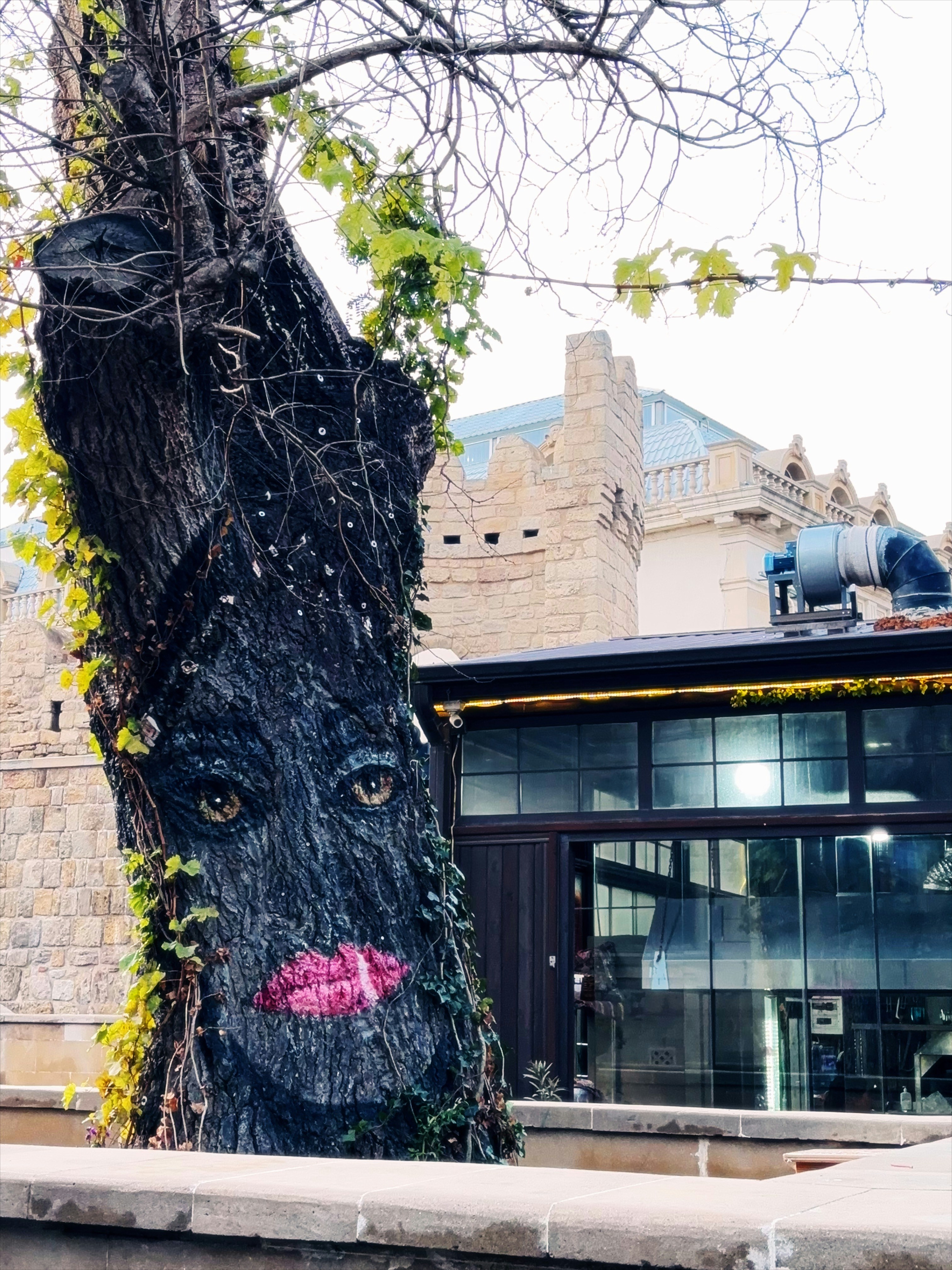 Tree Portrait: Faces Formed by Bark and Ivy