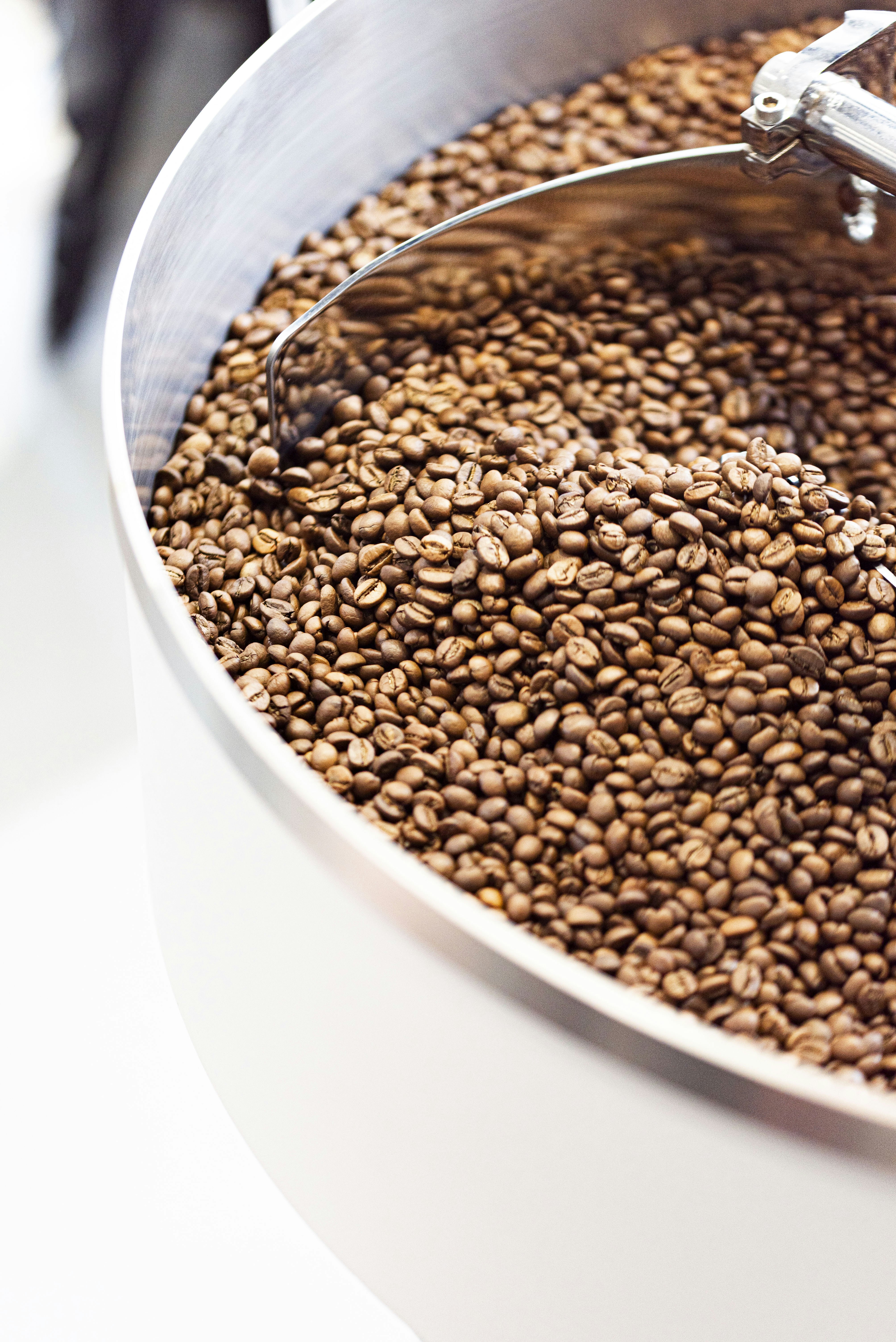 Coppery Roasts in a Stainless Drum