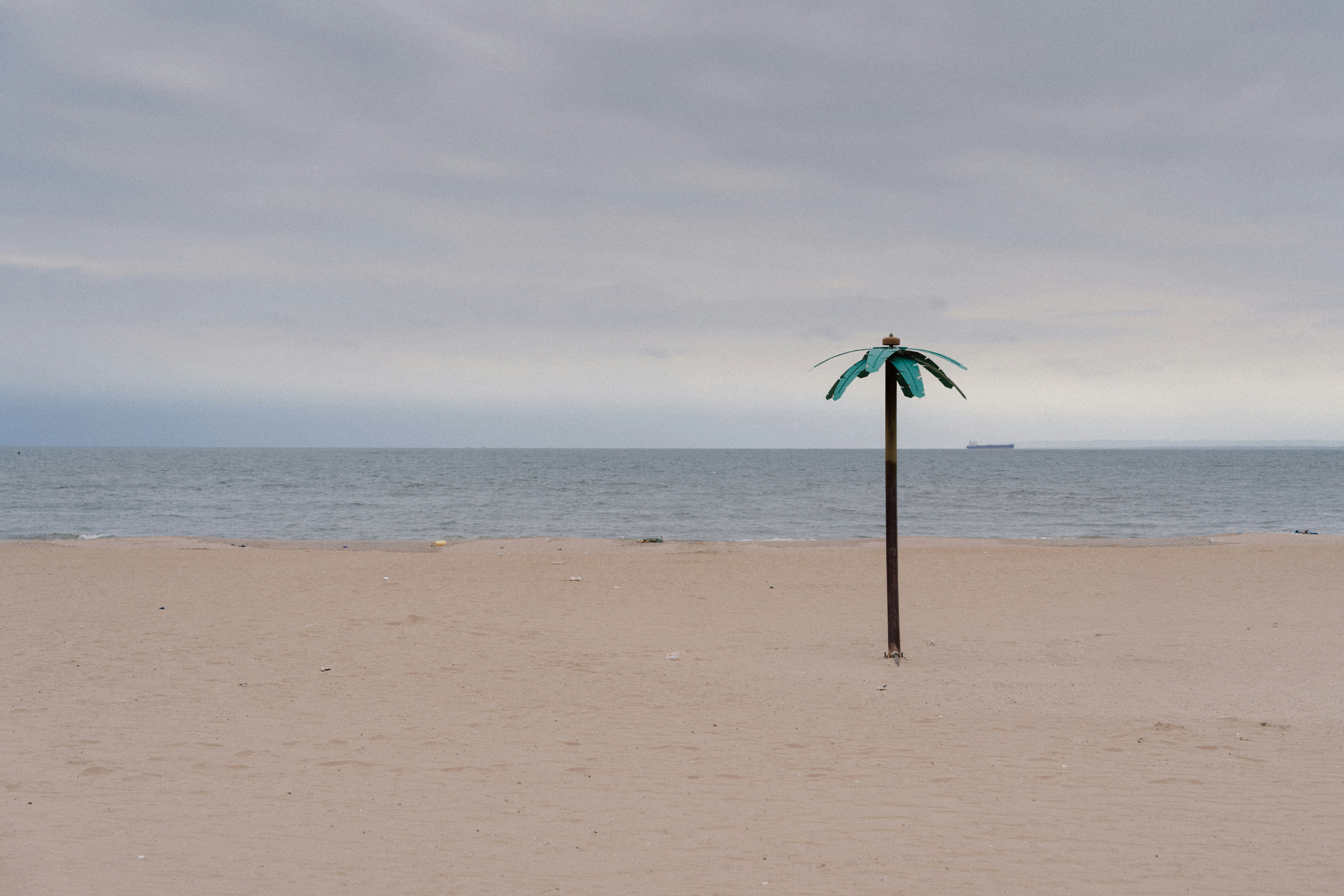 Lonely Palms on a Distant Shore