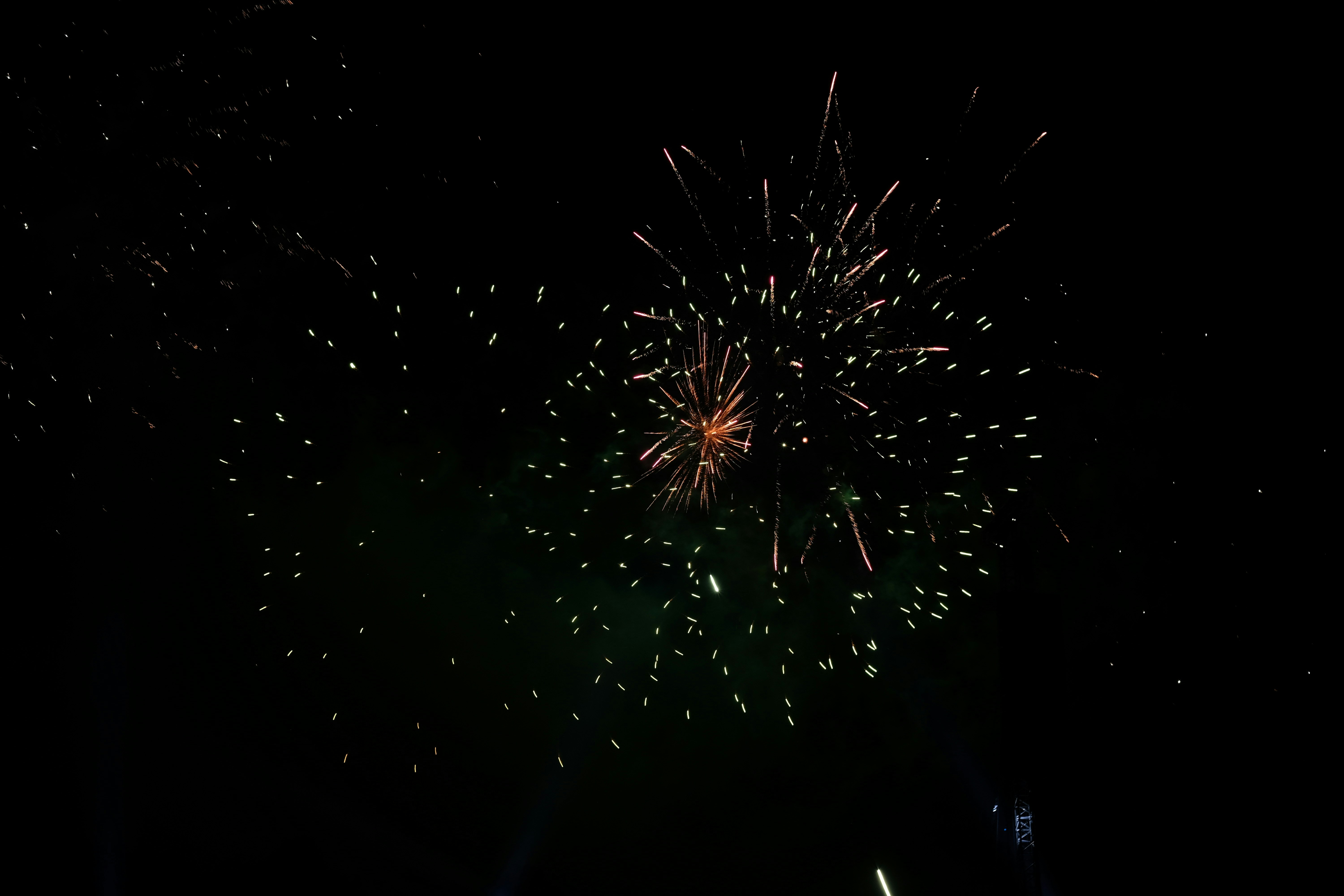 Night Sky Bloom: Fireworks Spill Over a Silent Crowd