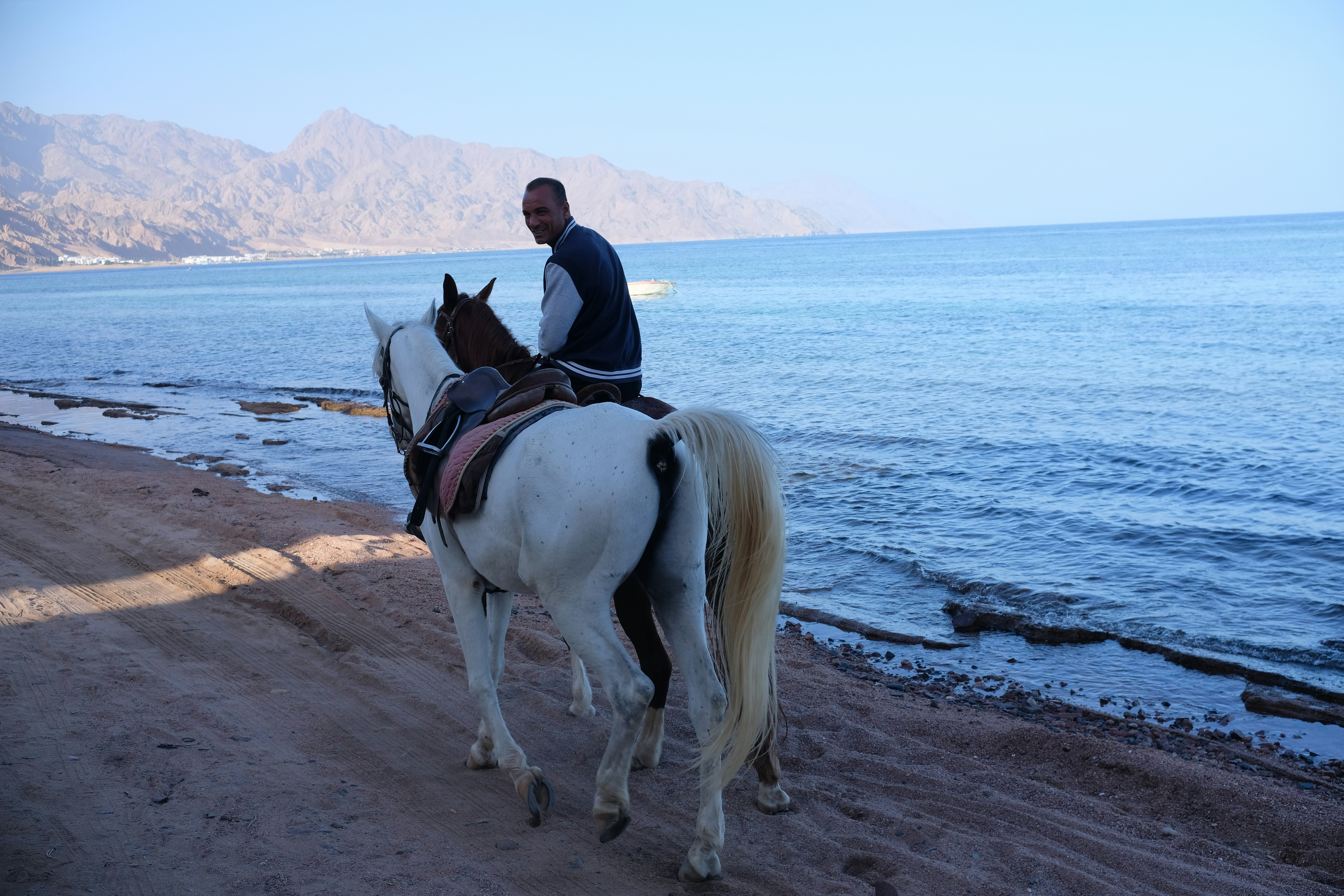 Ride Along the Seashore: Rider and White Horse Head Toward Distant Mountains