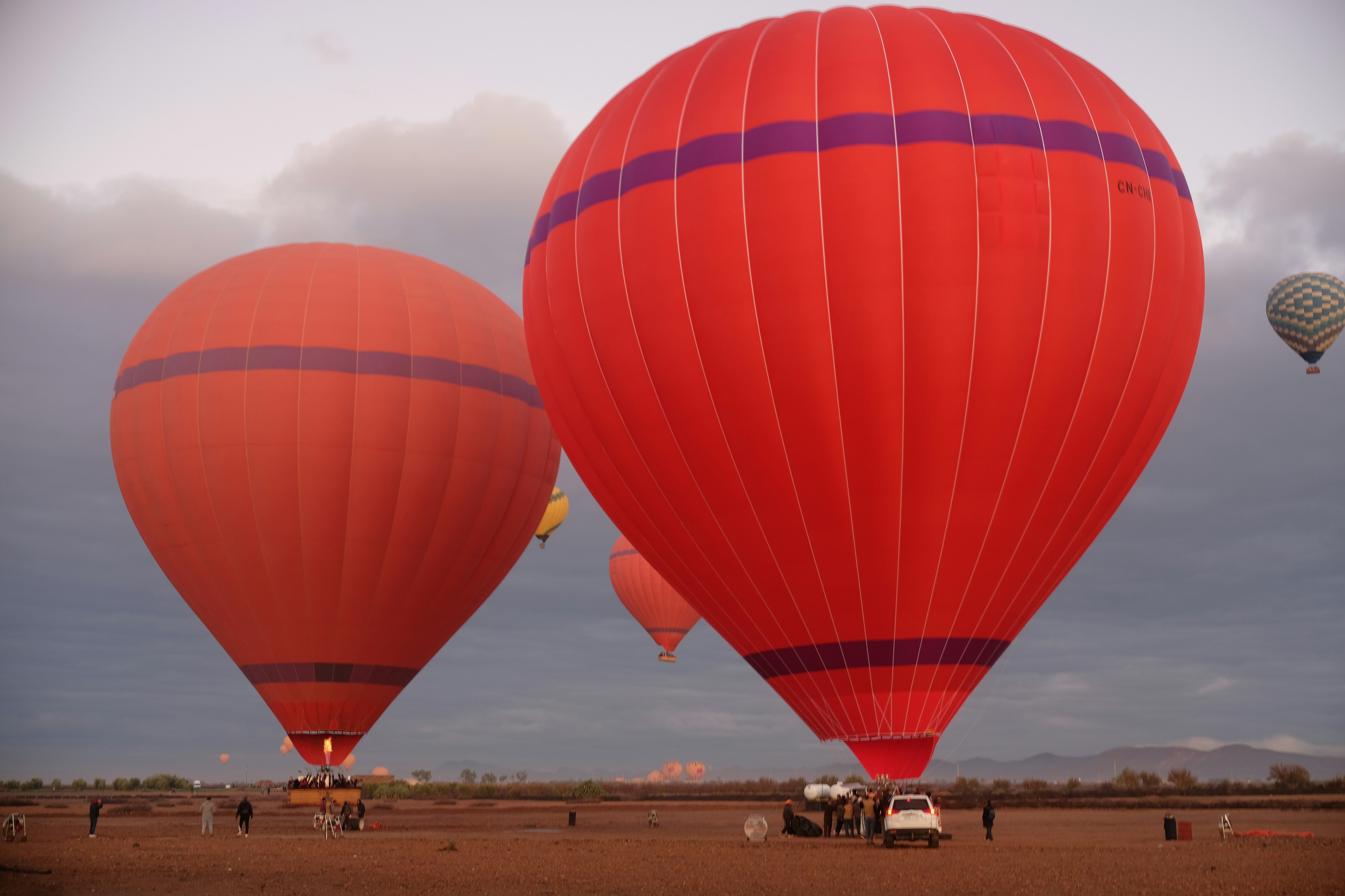 Red Giants Lift Off: A Field of Balloons against a Desert Sky