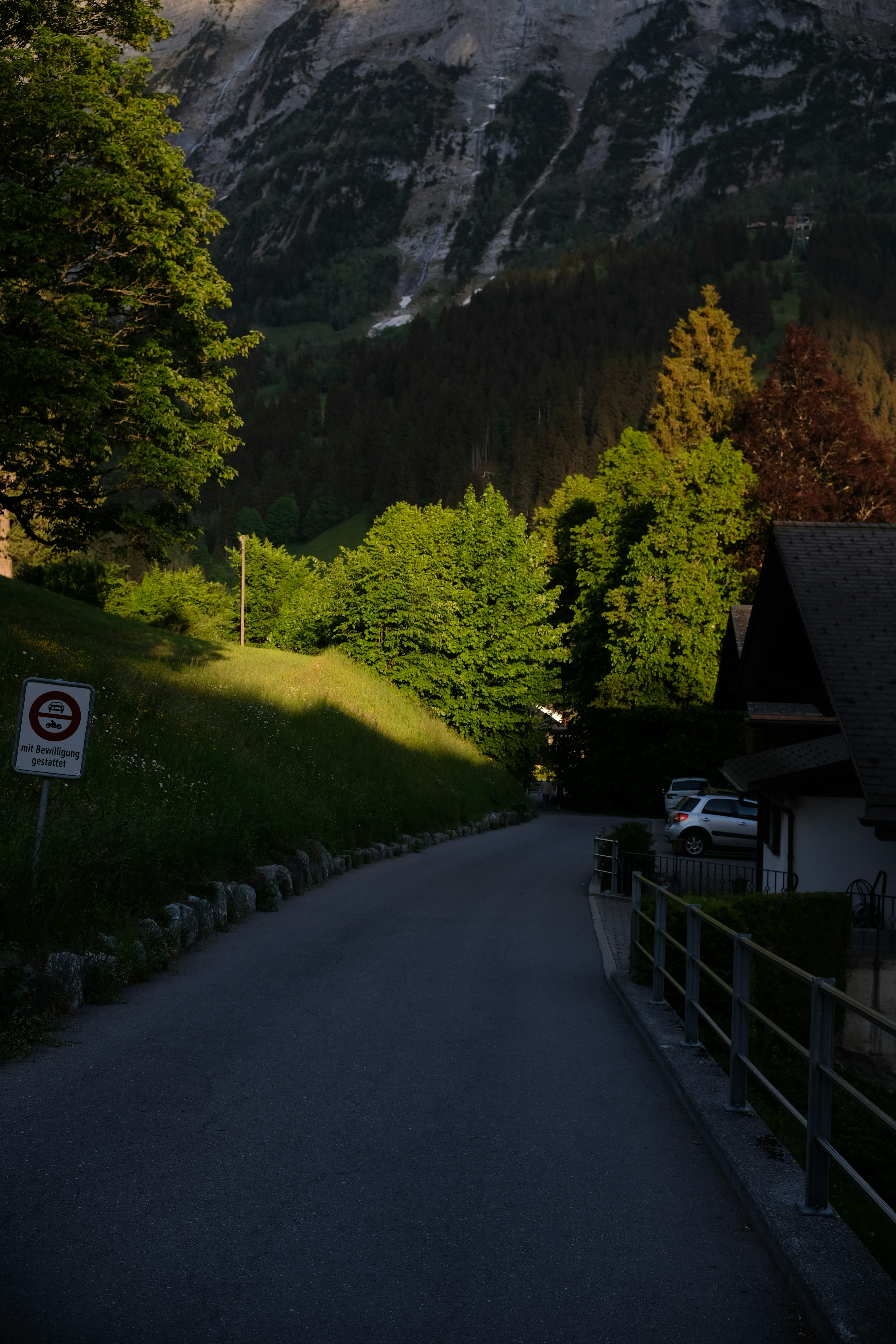 Quiet Mountain Village Road Framed by Dappled Forest