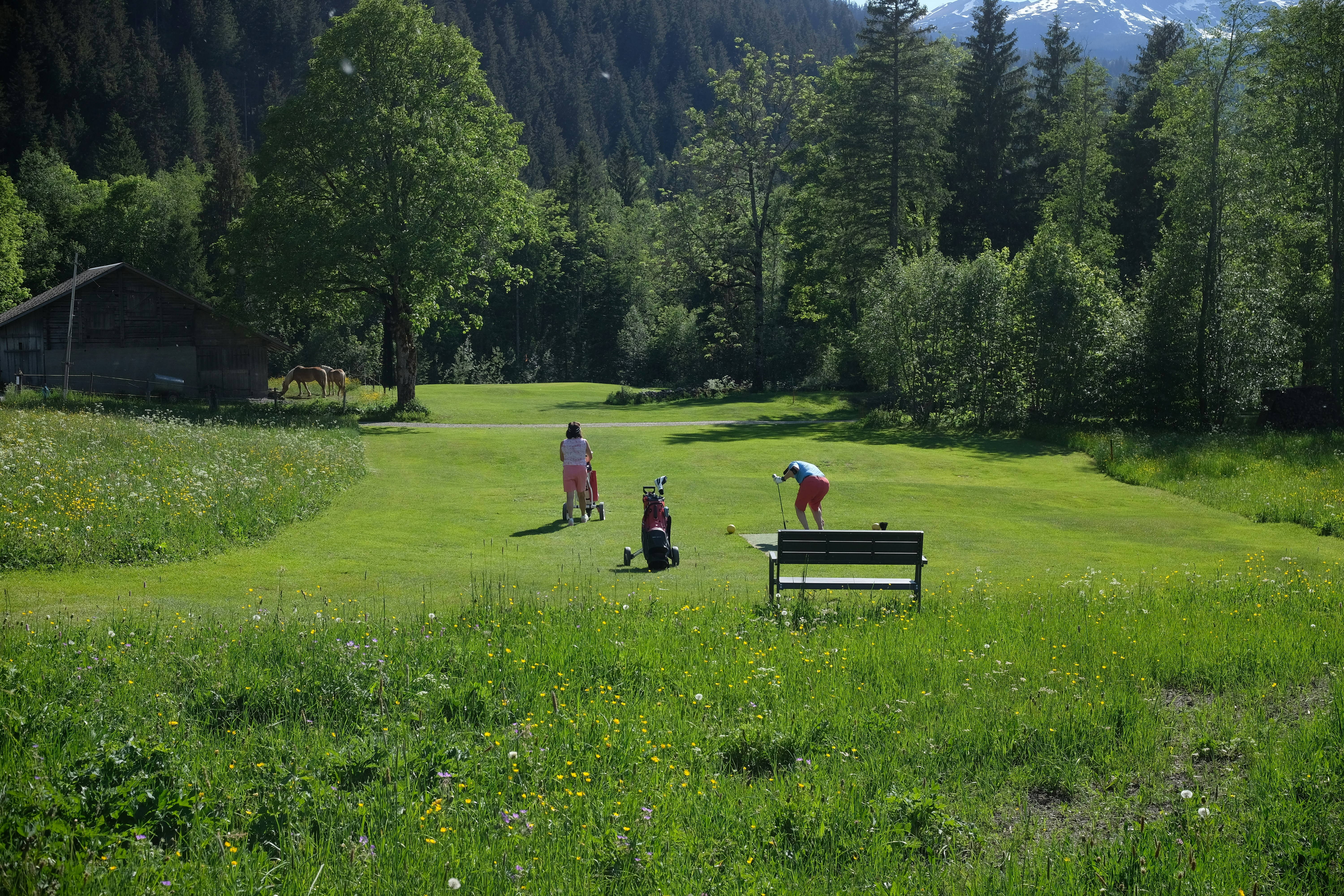 Sunlit Meadow: A Family Moment under the Alpine Trees