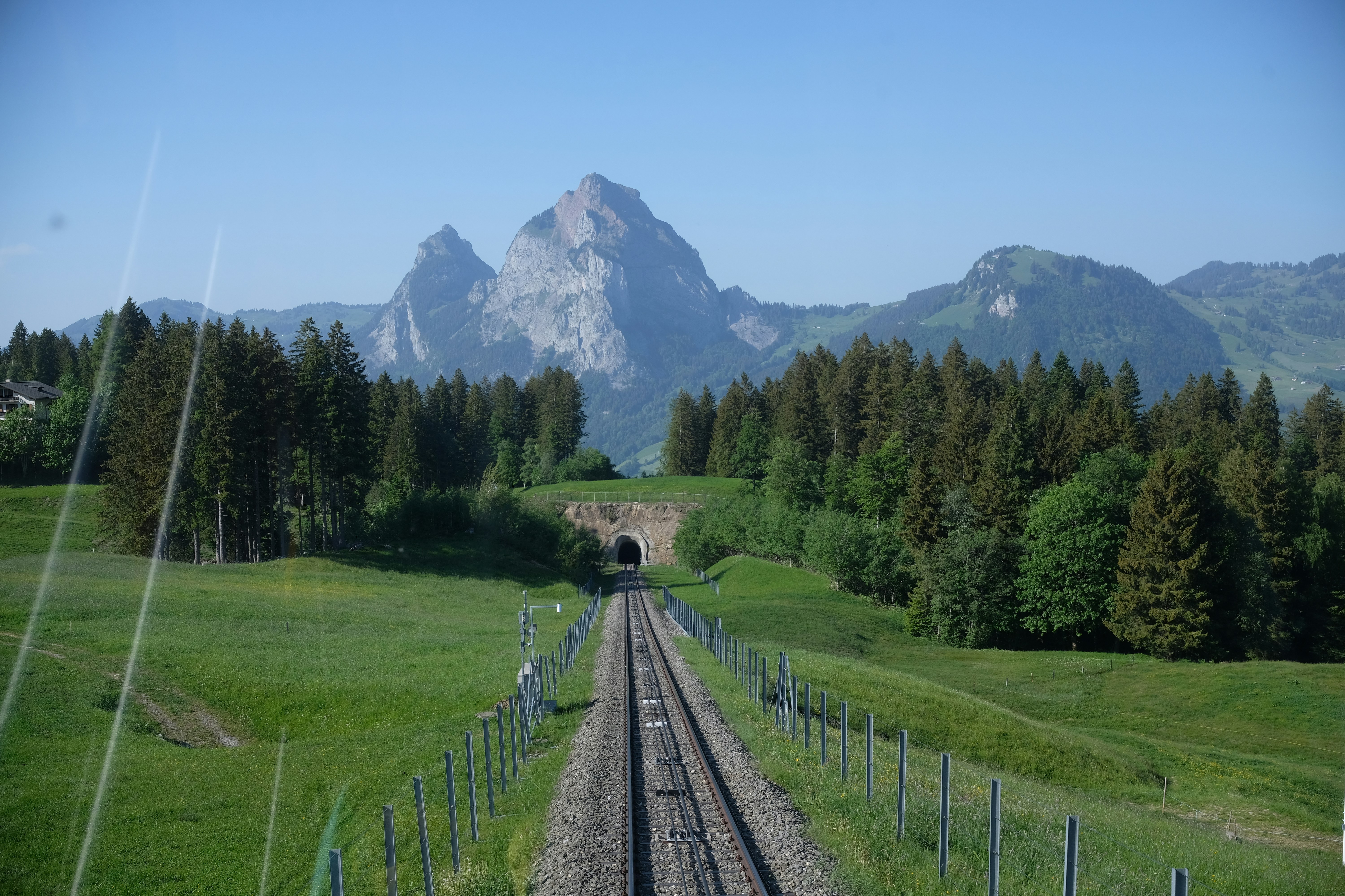 Rails to the Valley: A Mountain Tunnel Pathway Bounded by Pines