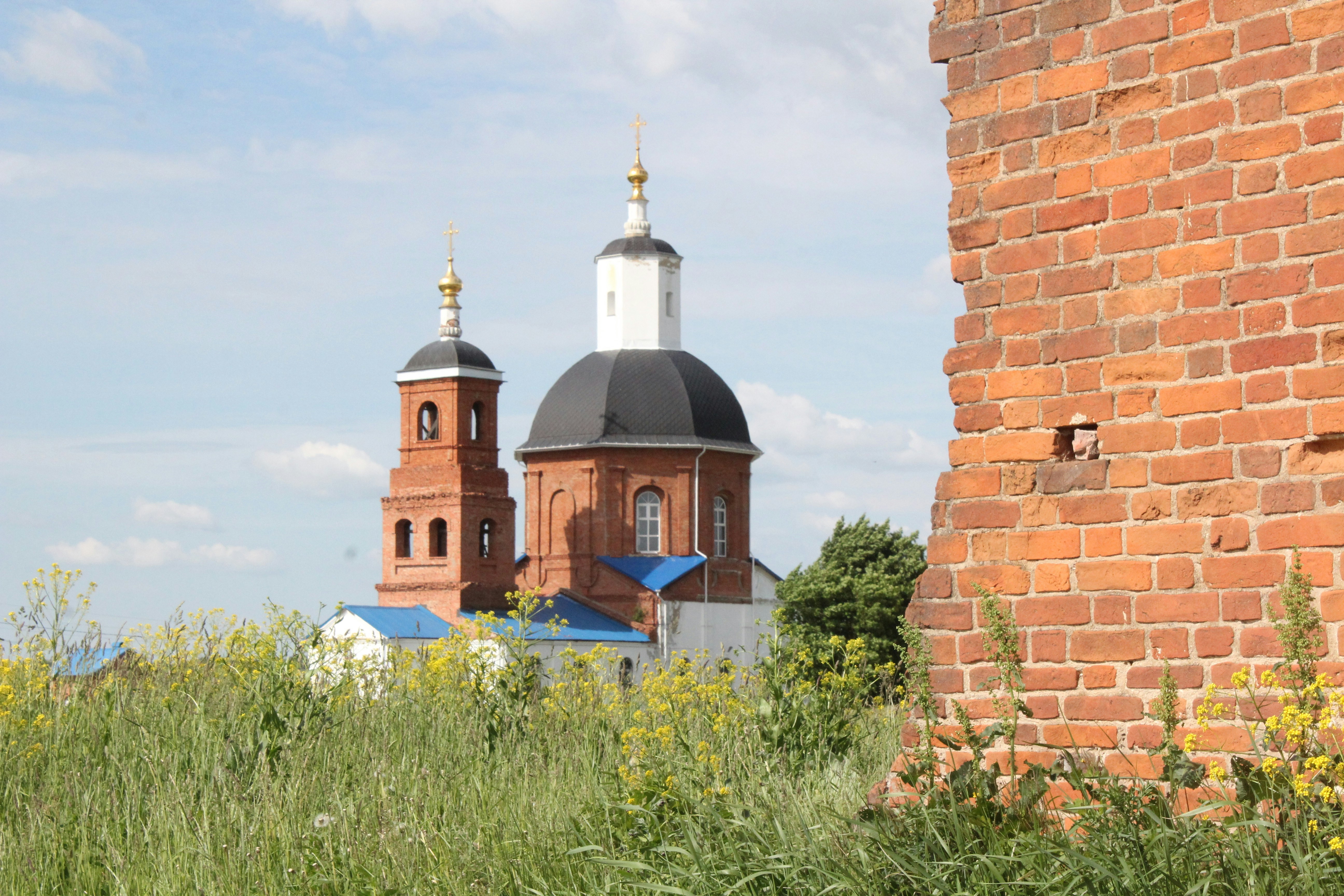 Brick Towers and Wildflowers: A Quiet Monastic Profile by the Field