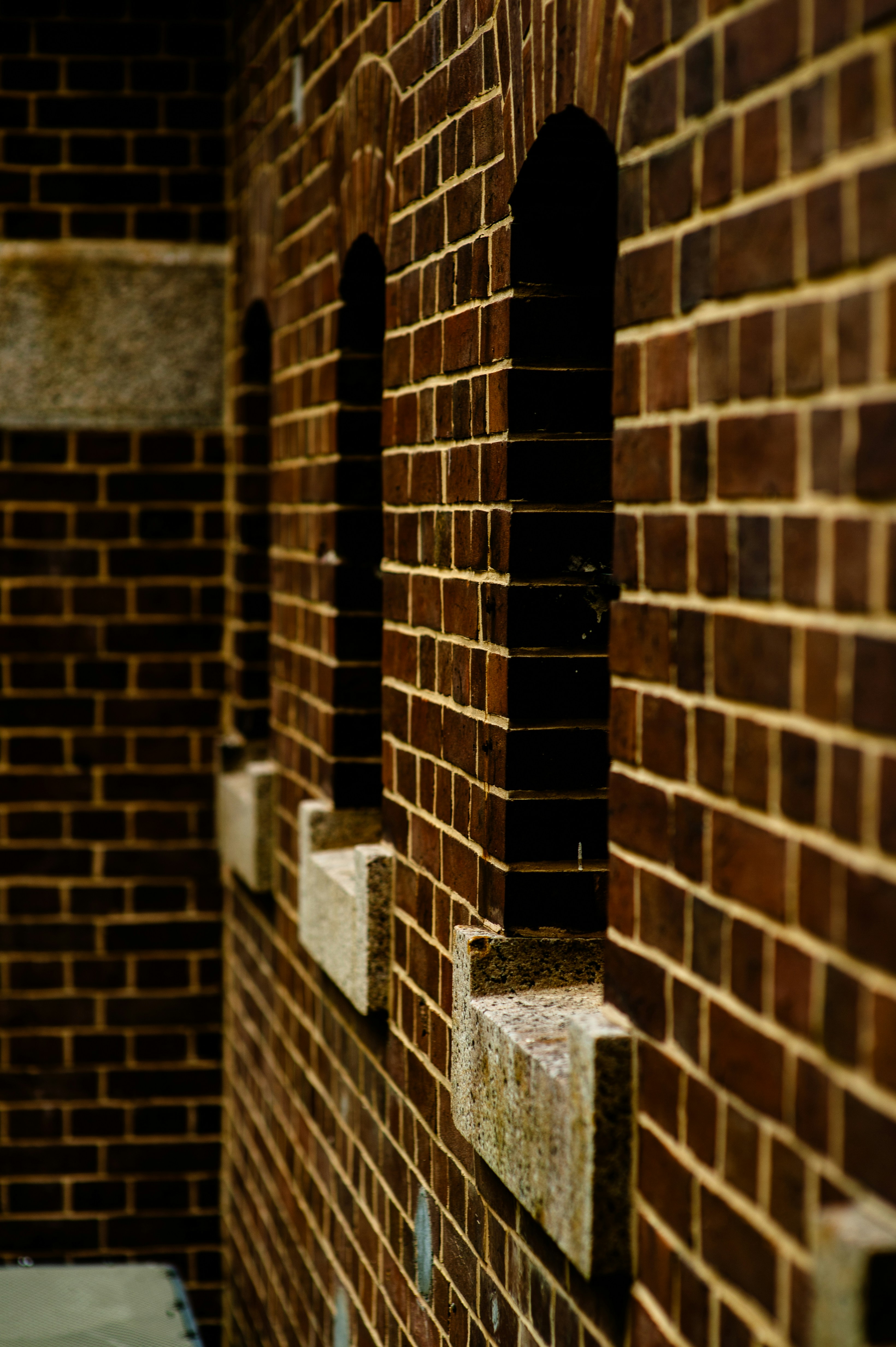 Brick Arches and Quiet Depths: An Interior Portrait of Repetition
