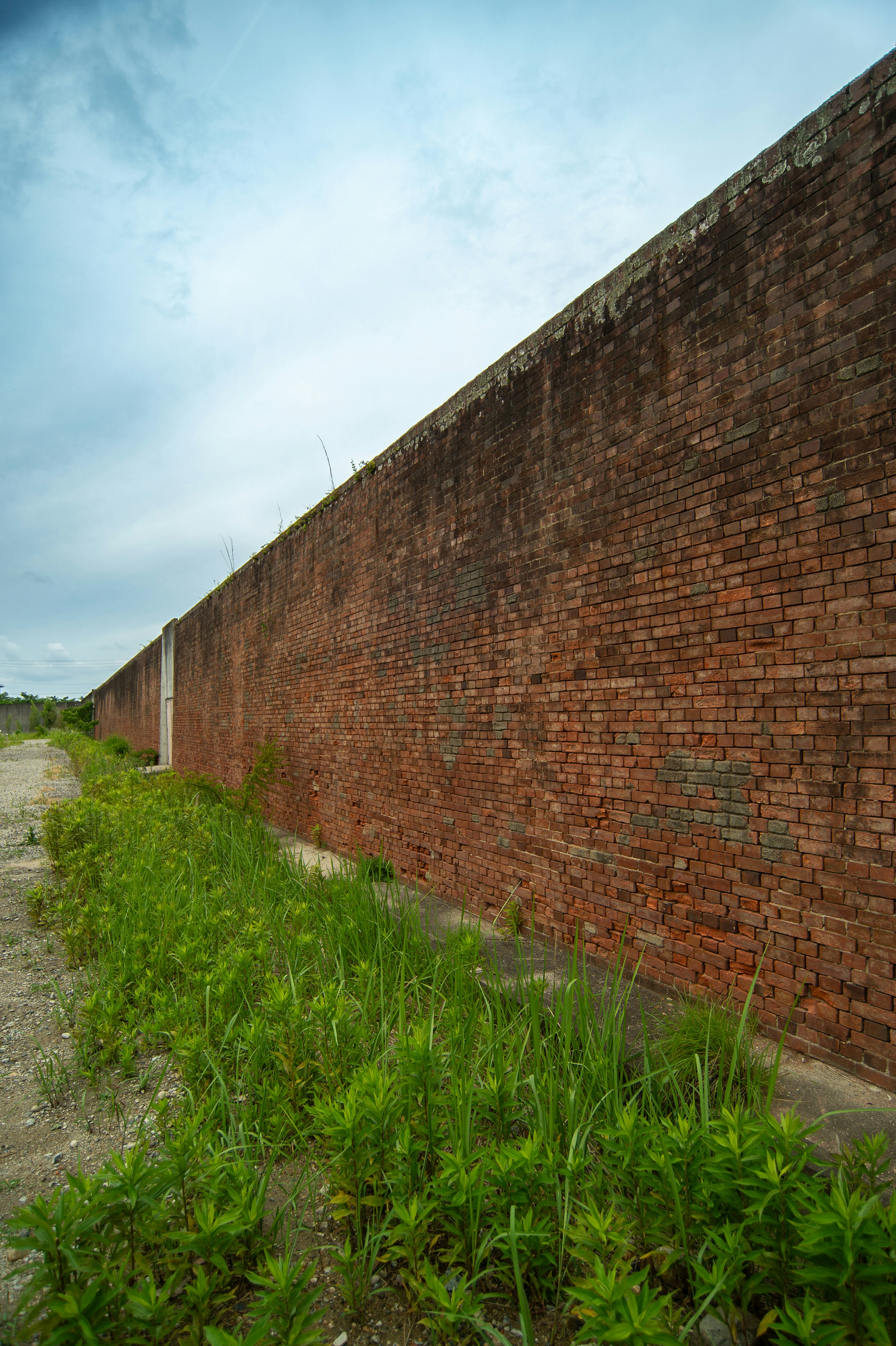 Brick Wall to the Horizon: Overgrown Path Under a Wide Sky