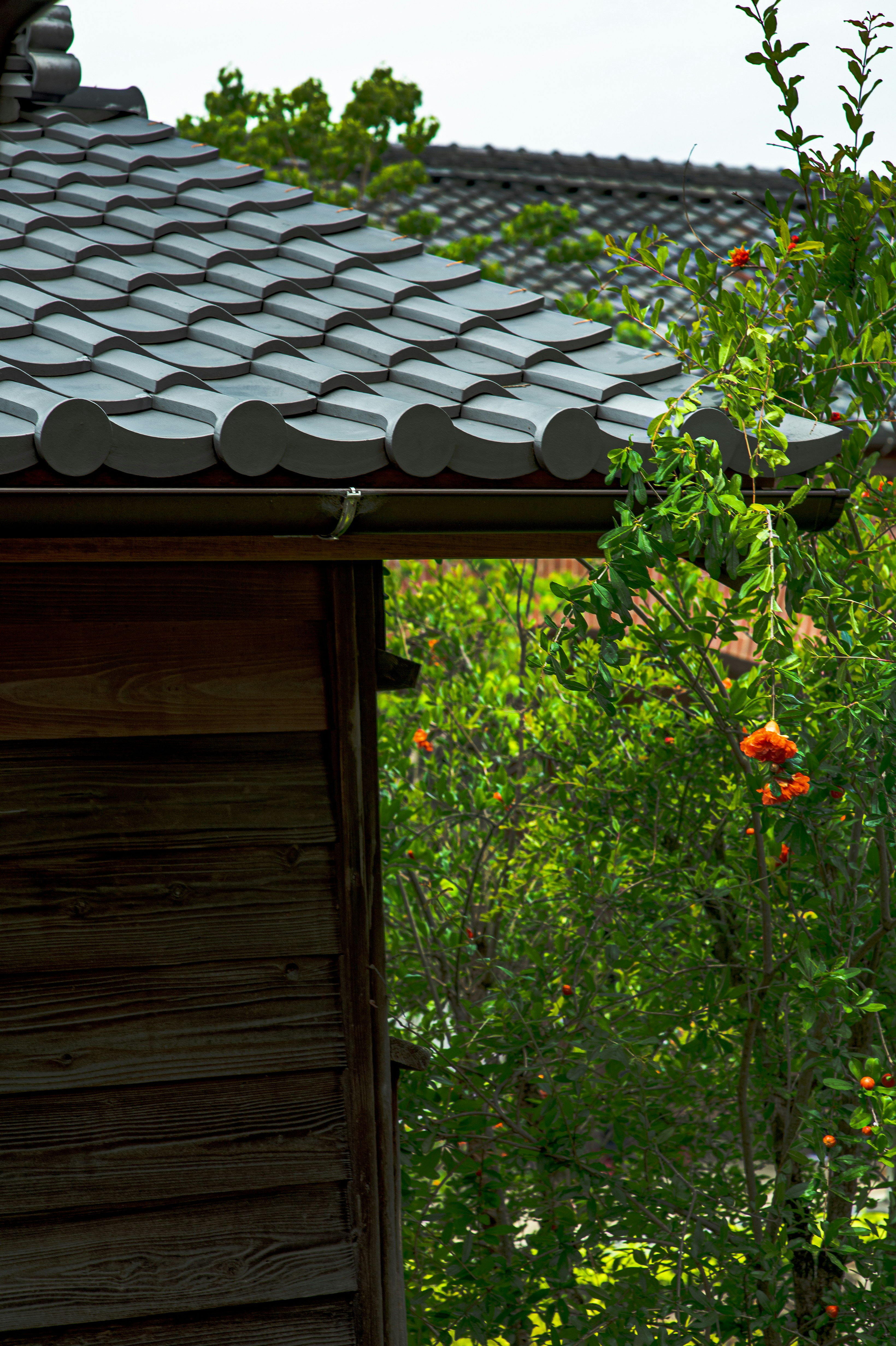 Traditional tiled roof meeting a flowering garden
