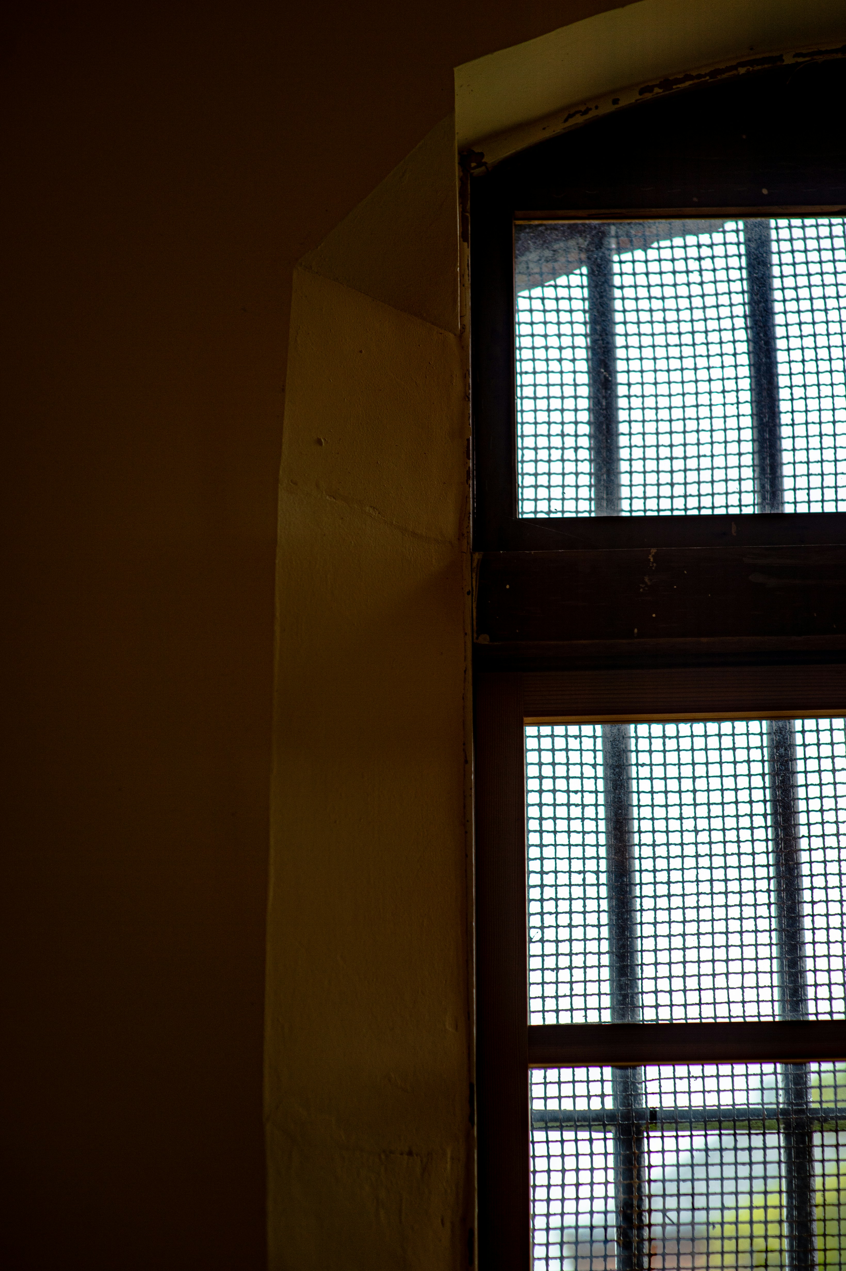 Window Grid Through an Old Arch