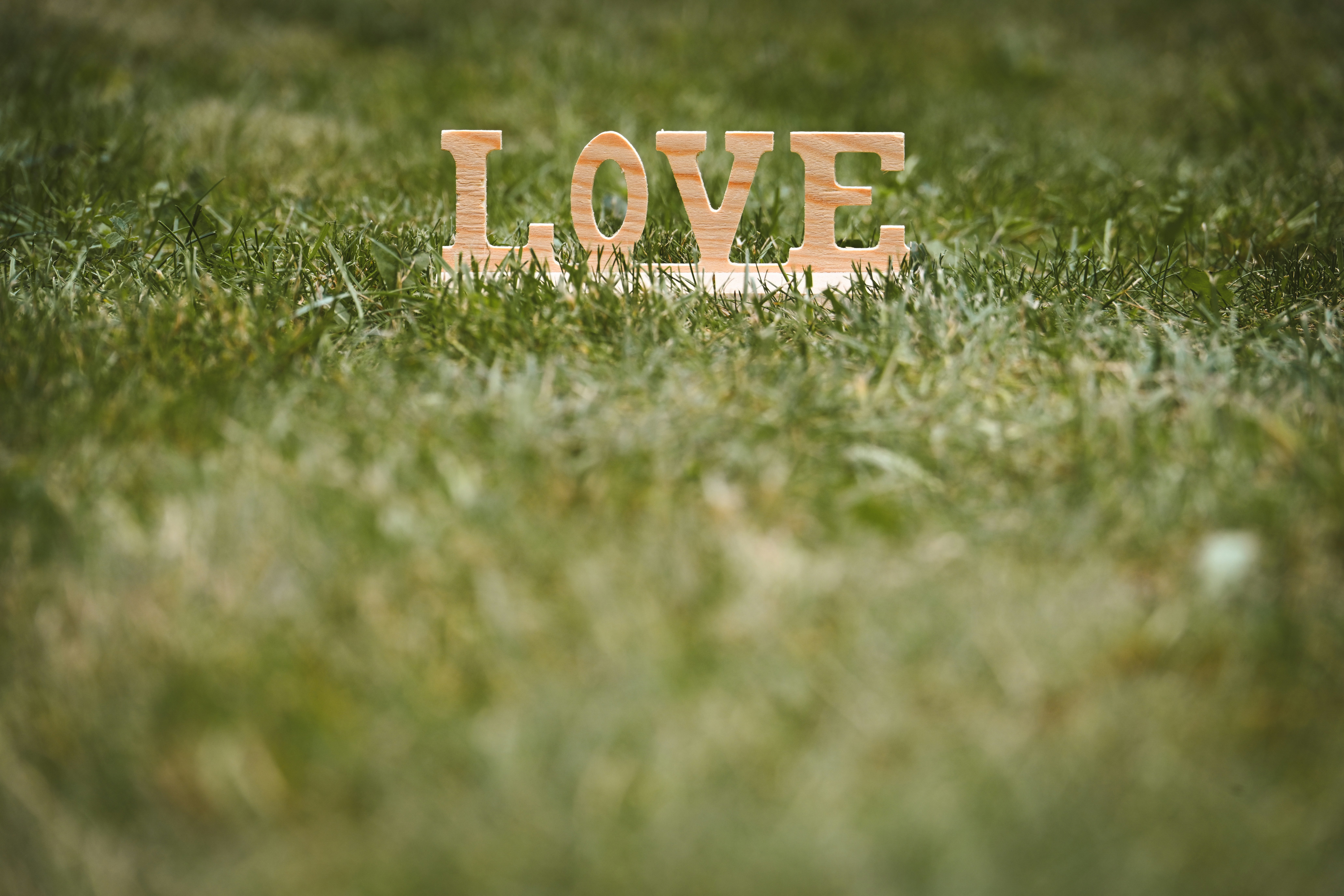 LOVE in Sharp Focus Across a Gentle Field