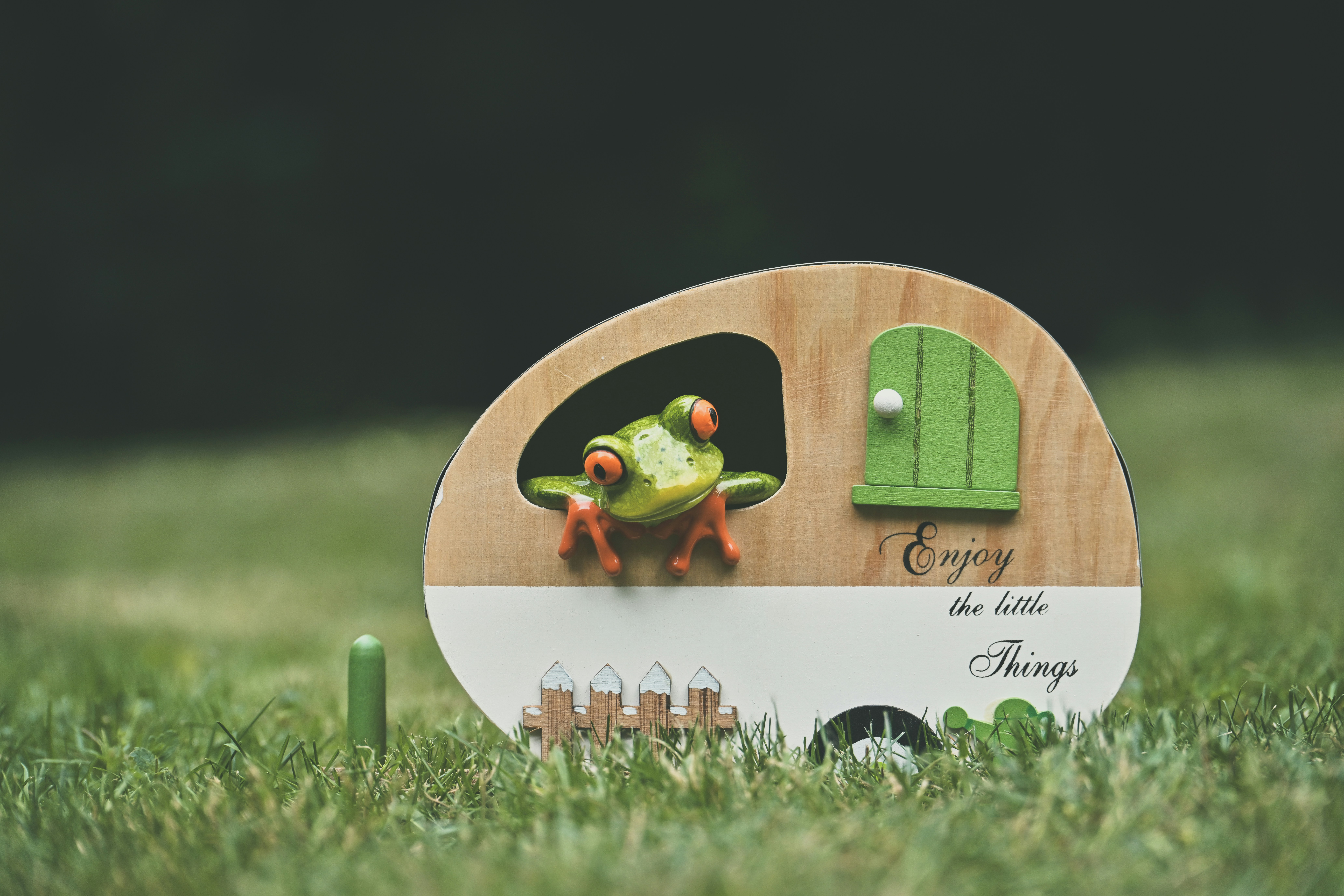 Decorative wooden camper with a frog on green grass.