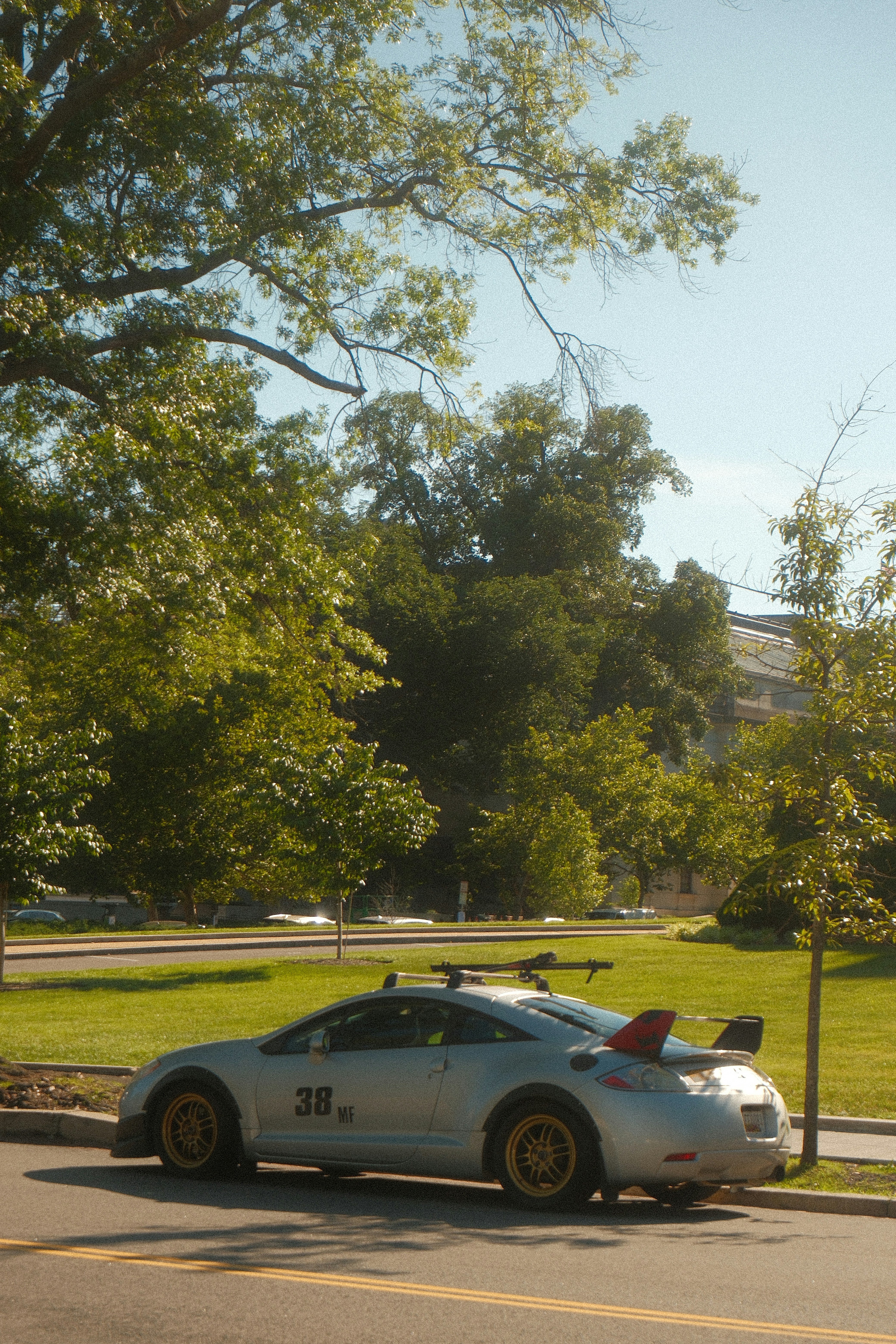 Blue-Gray Porsche at Dappled Park Edge