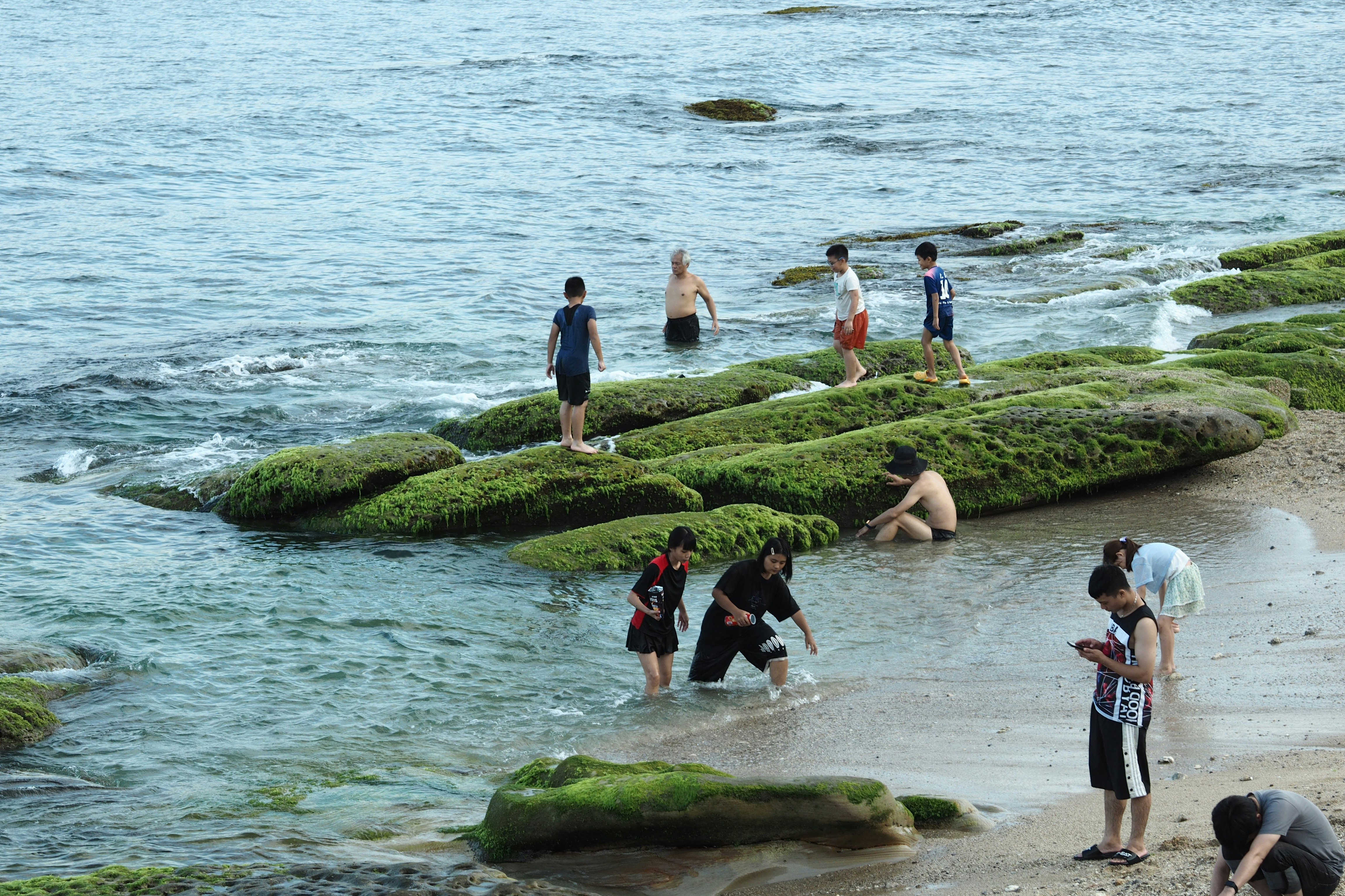 Sunlit shoreline play as mossy rocks invite the tide