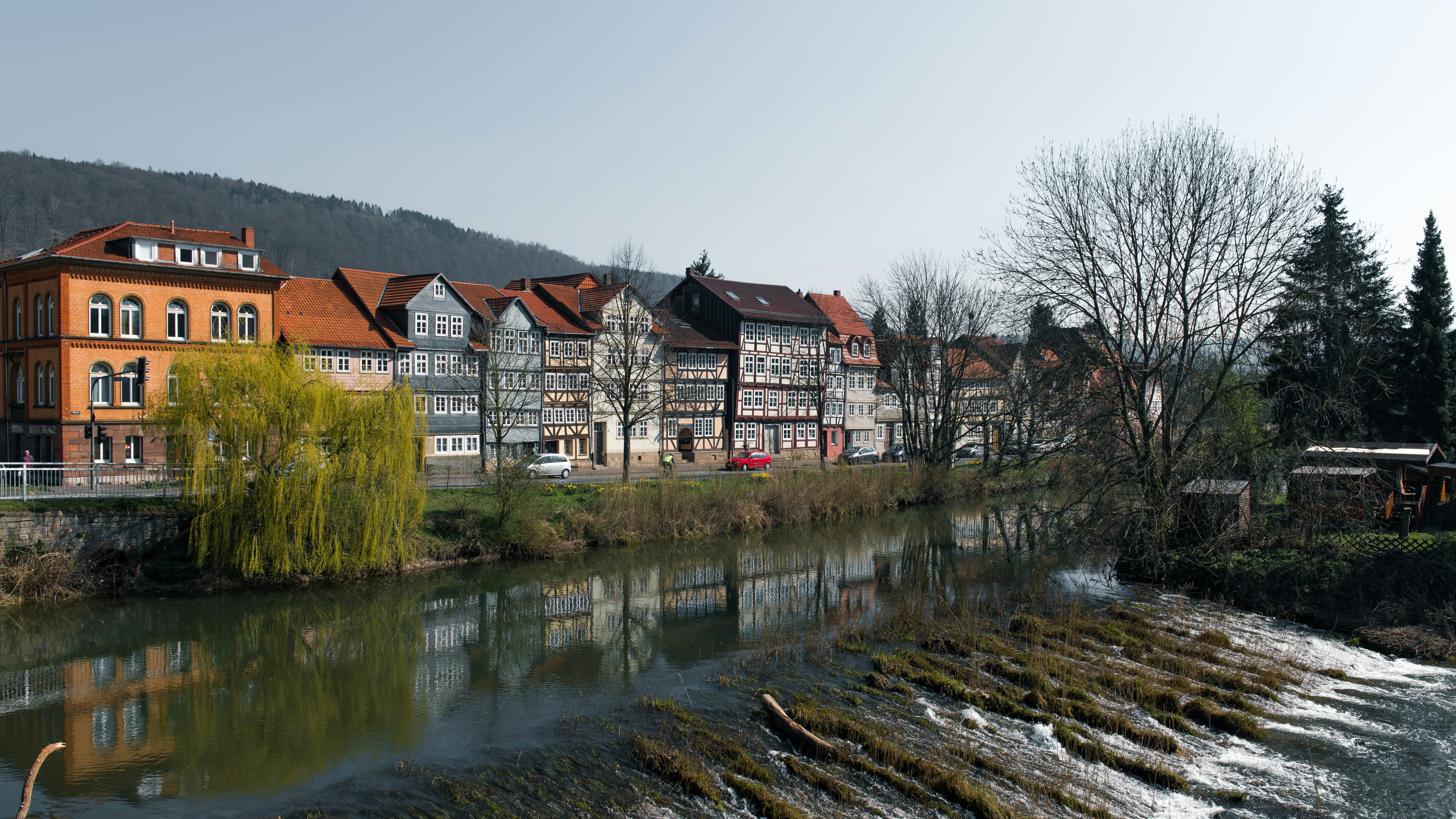 Riverside Row of Timbered Esthetics