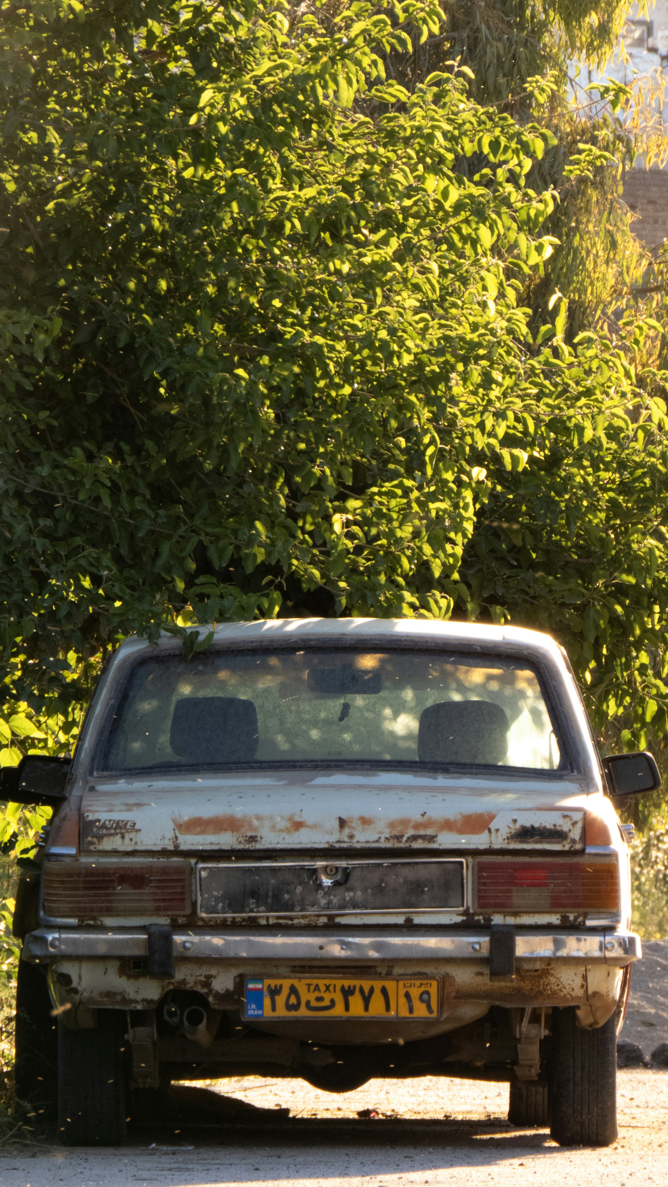 Rusty old car parked in front of vibrant green trees.