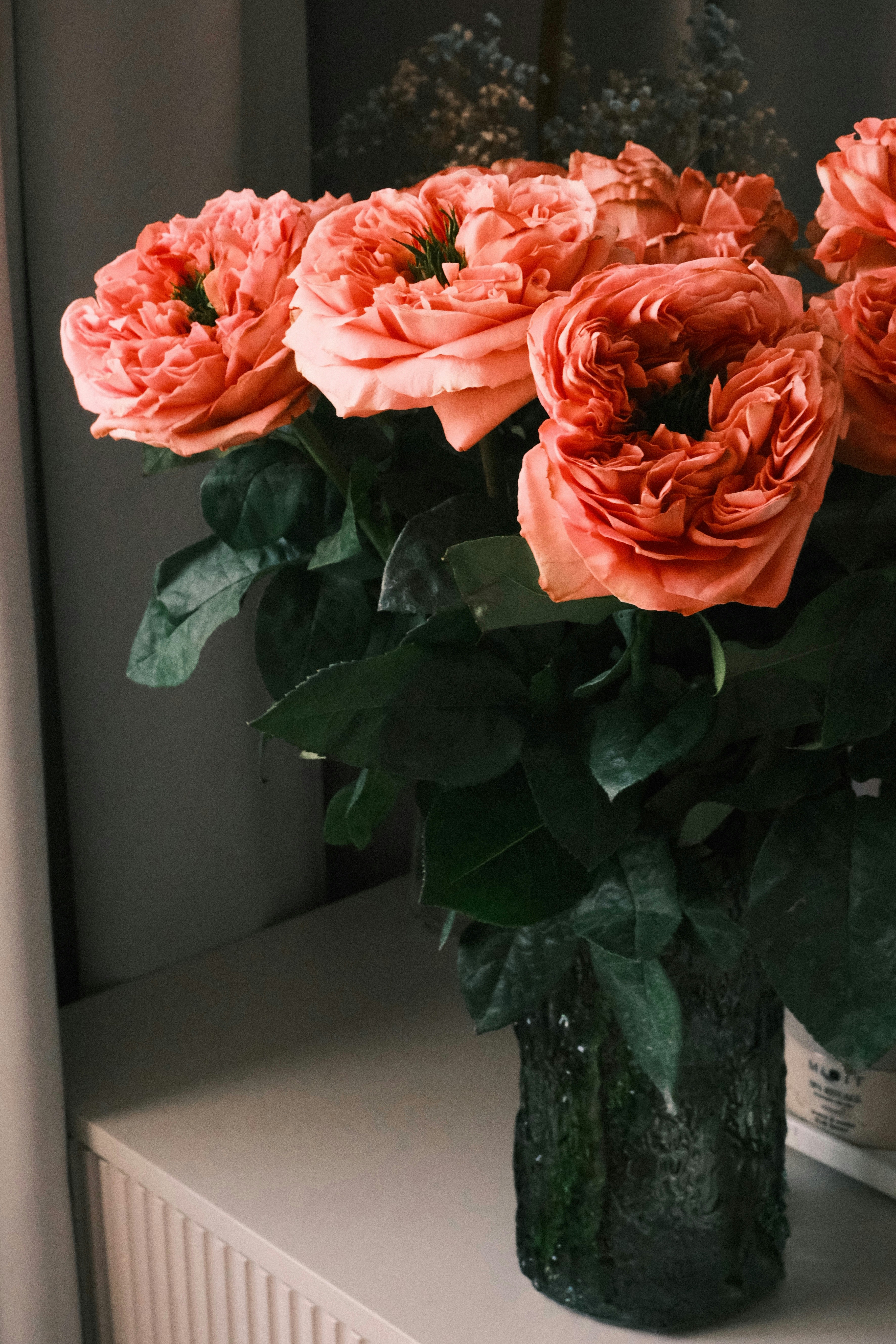 Coral Roses in a Glass Vase on a Window Sill