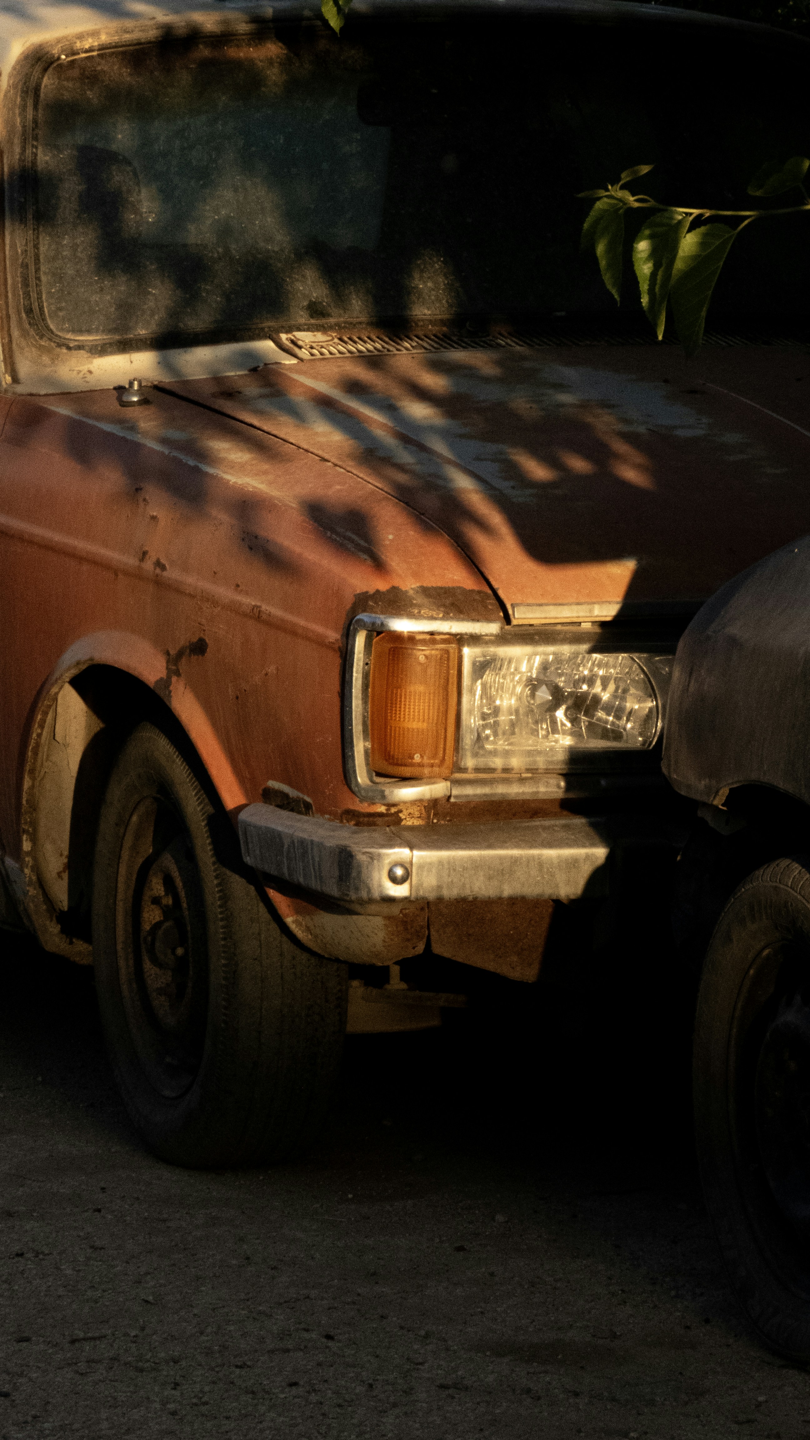 Sunlit Rust: The Weathered Front of an Old Pickup