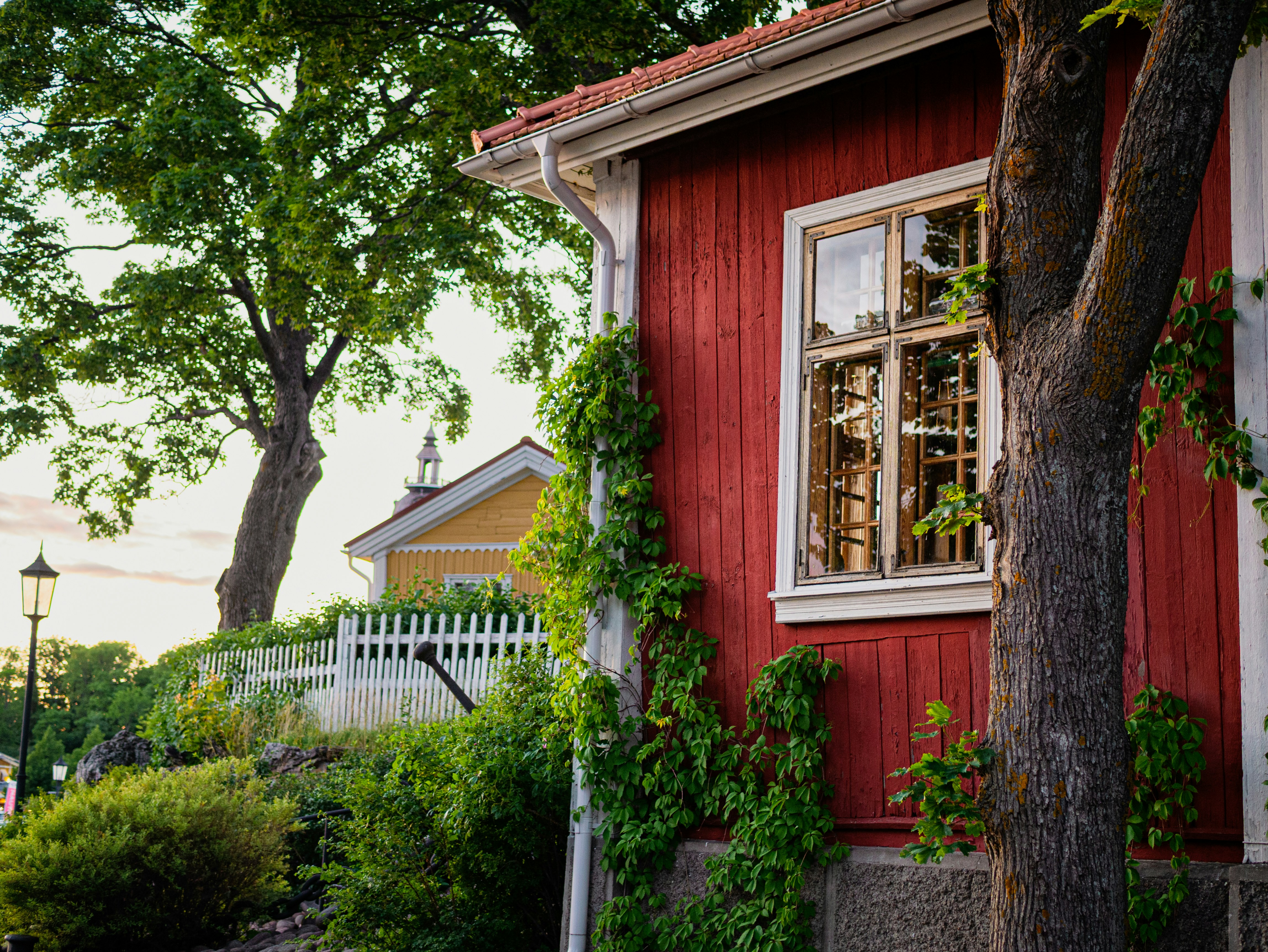 Quaint red wooden house with ivy and a window.
