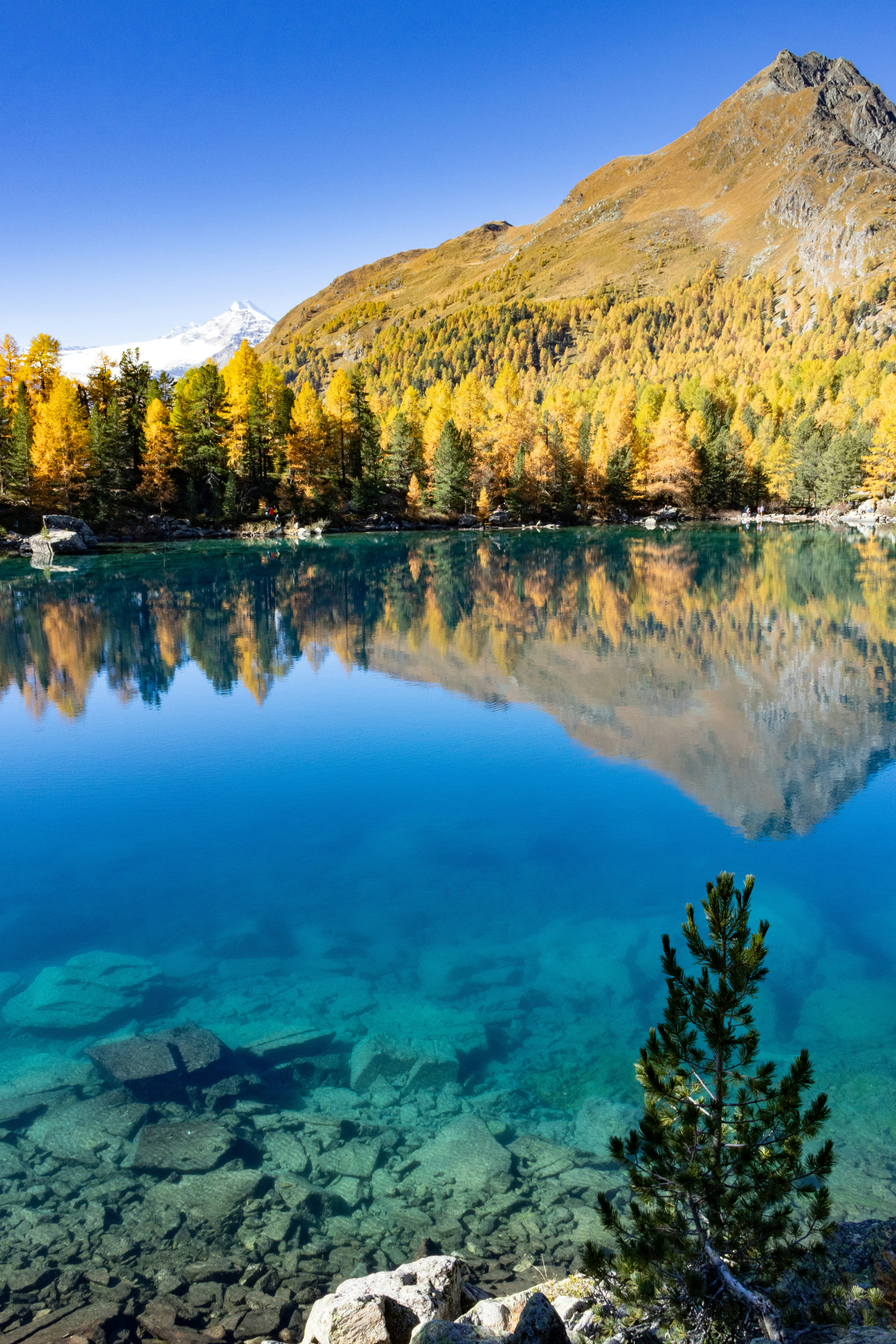 Clear blue mountain lake reflecting autumn trees and peaks.