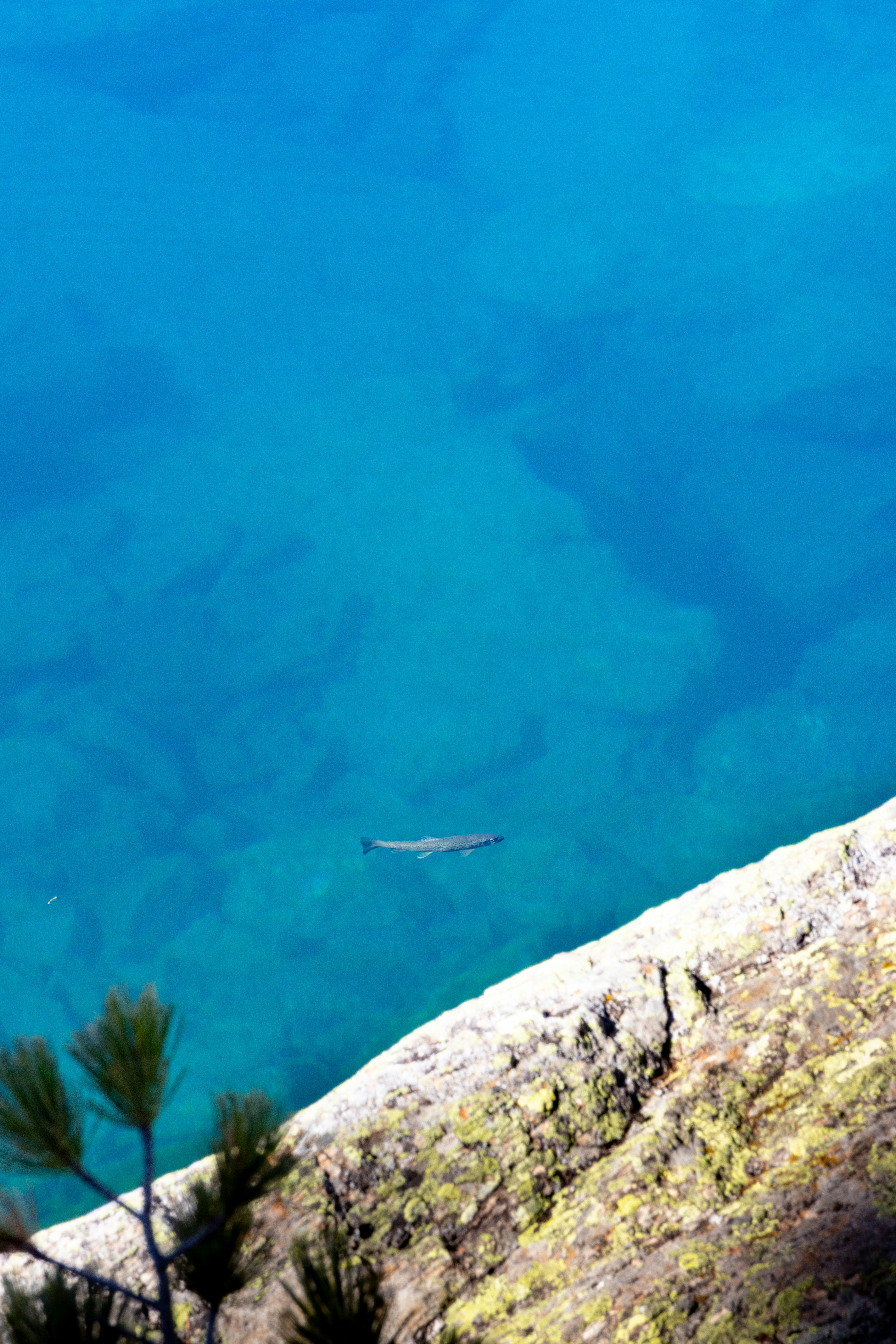 A Lone Boat Drifts Over Turquoise Calm