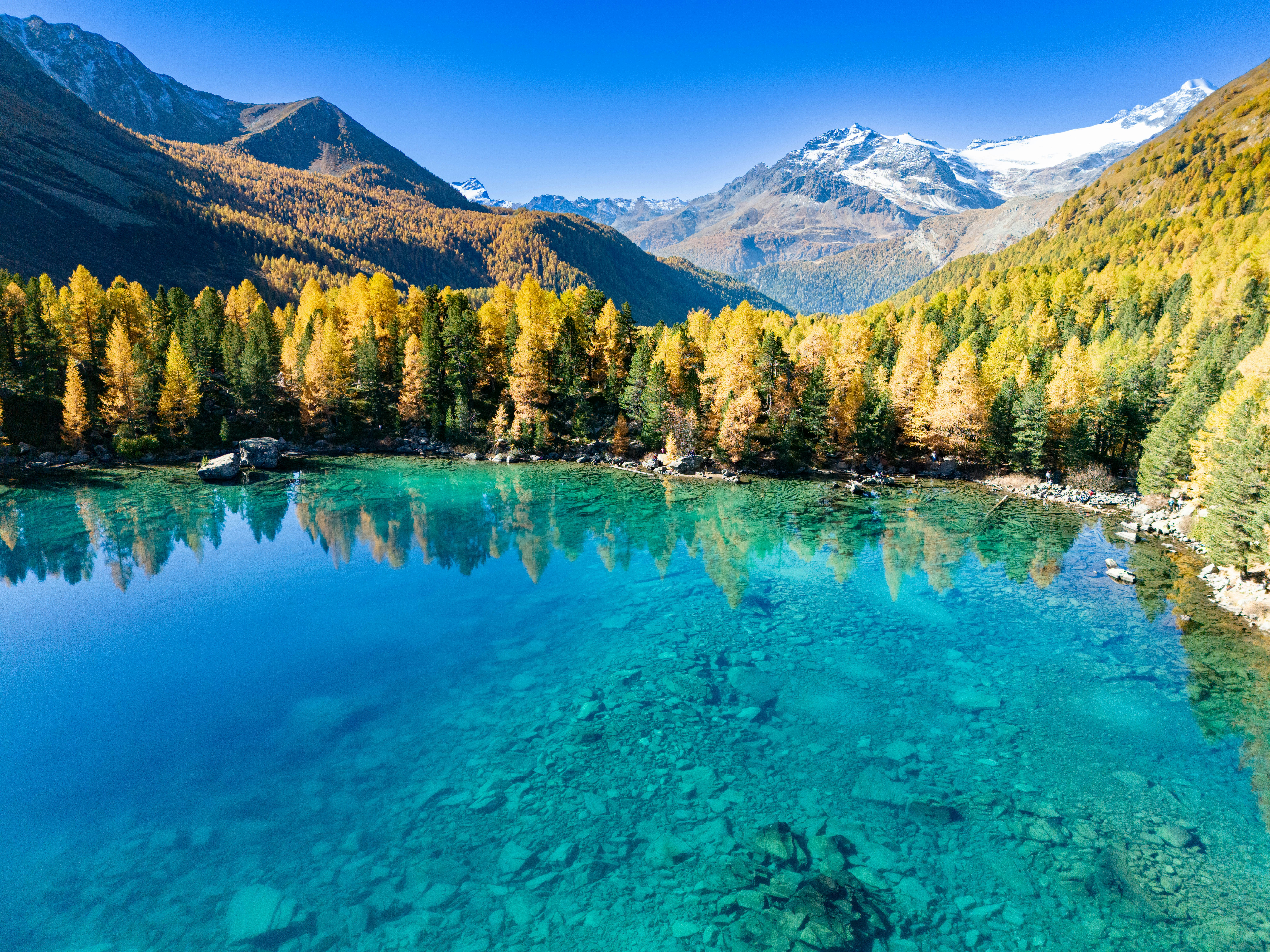 Emerald Lake, Golden Pines, and Snow-Capped Peaks