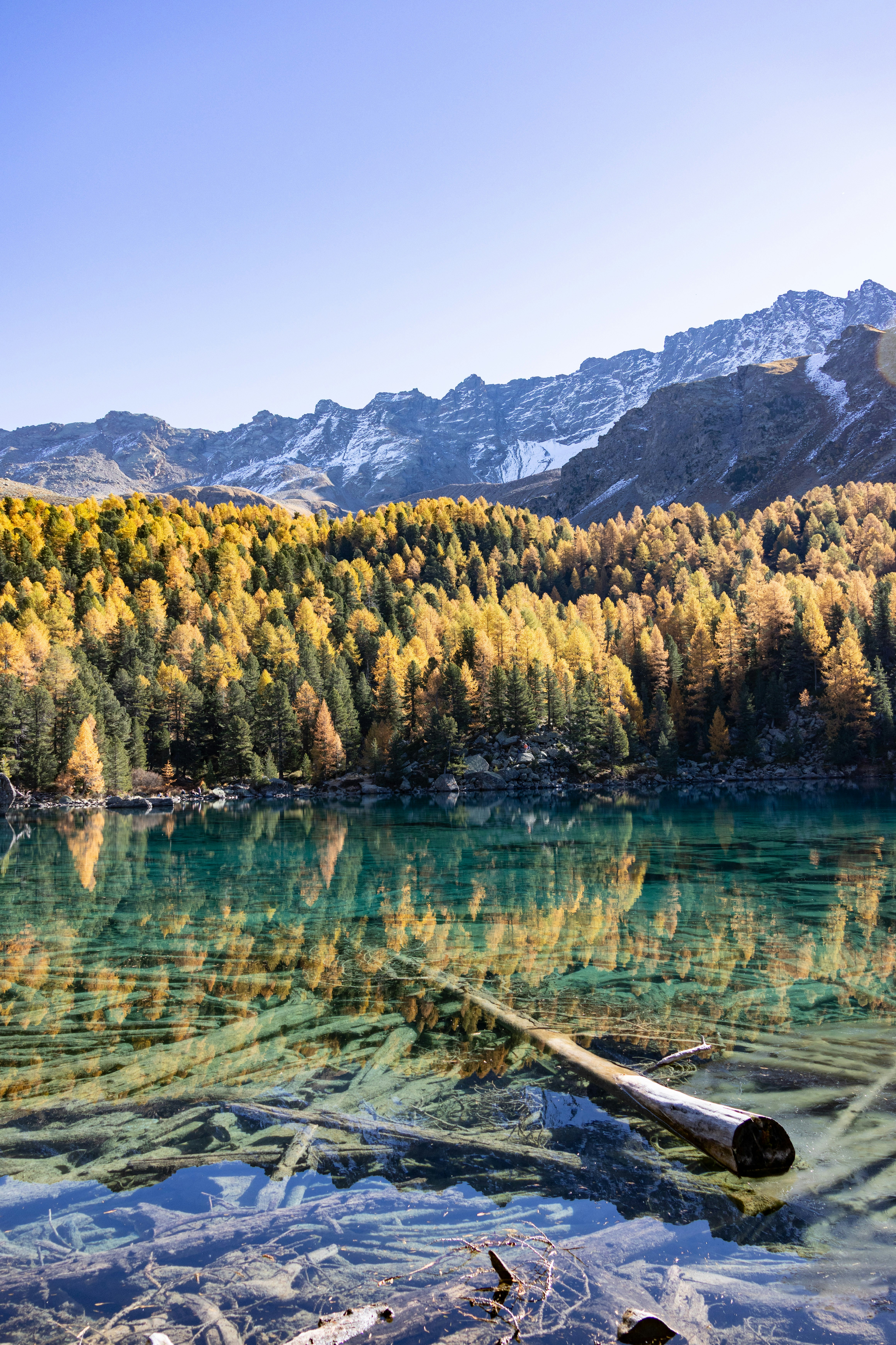 Emerald Waters and Golden Pines at Dusk