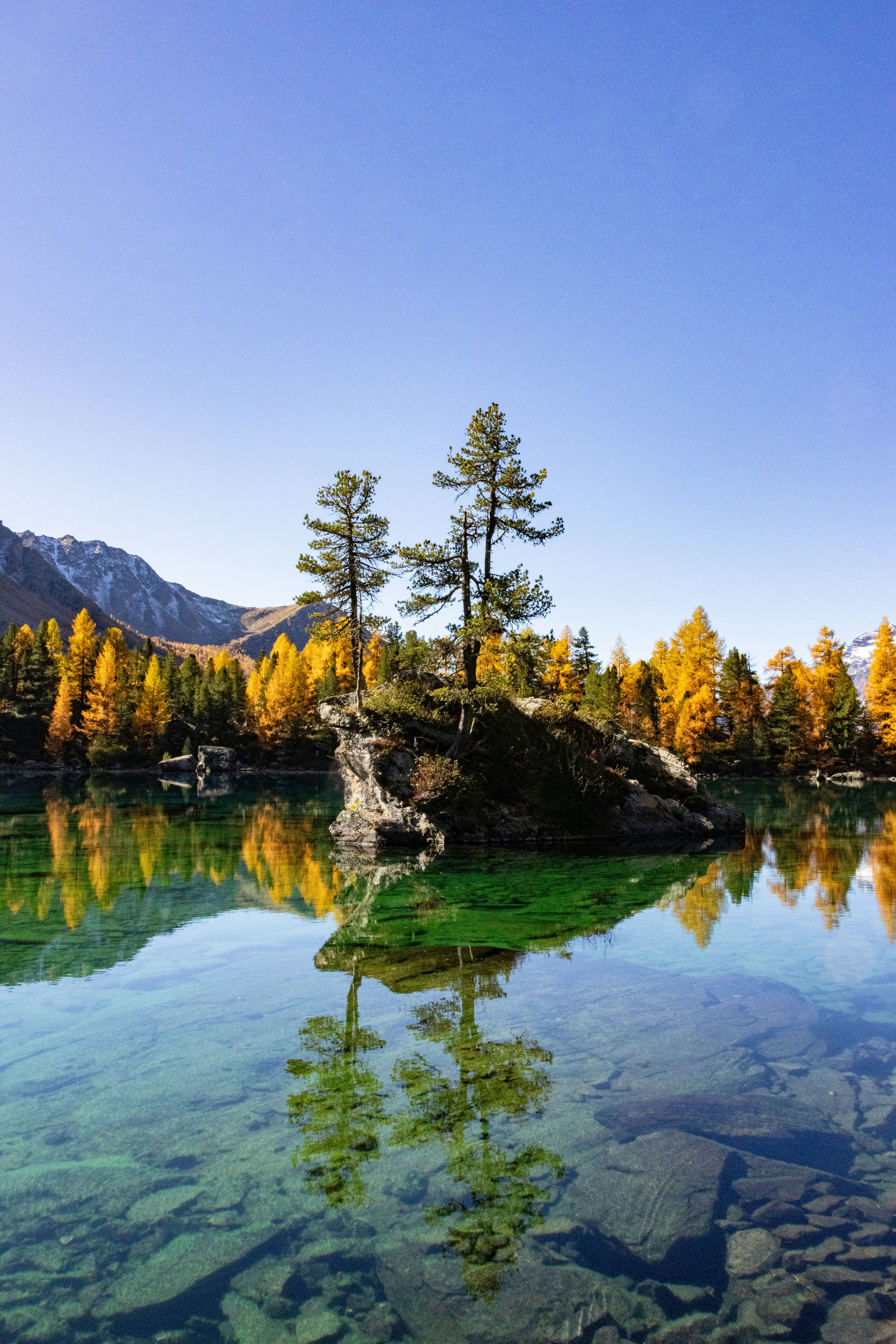 Island of Pines in Azure Stillness