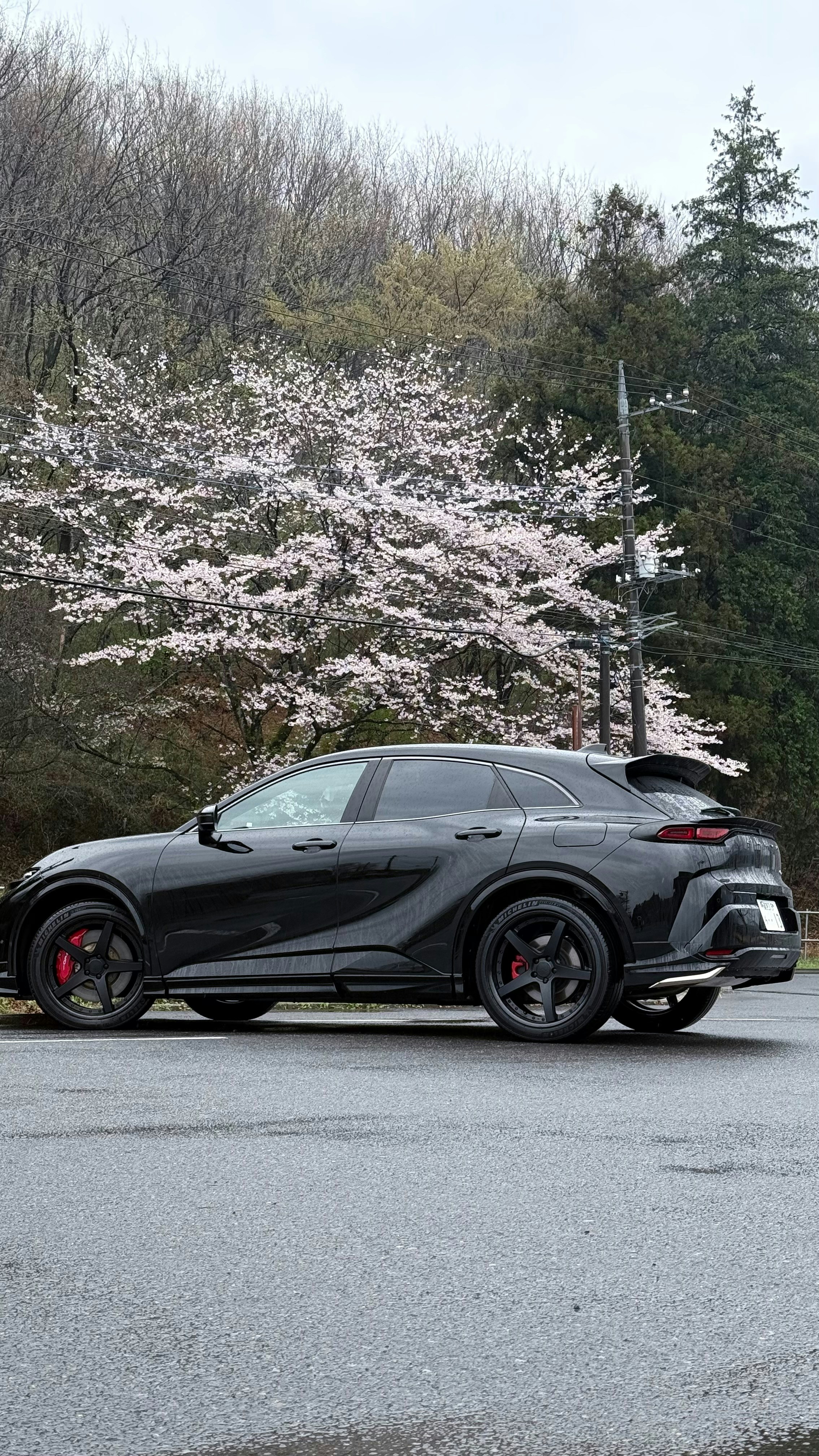Black SUV Staged Against Spring Blossoms