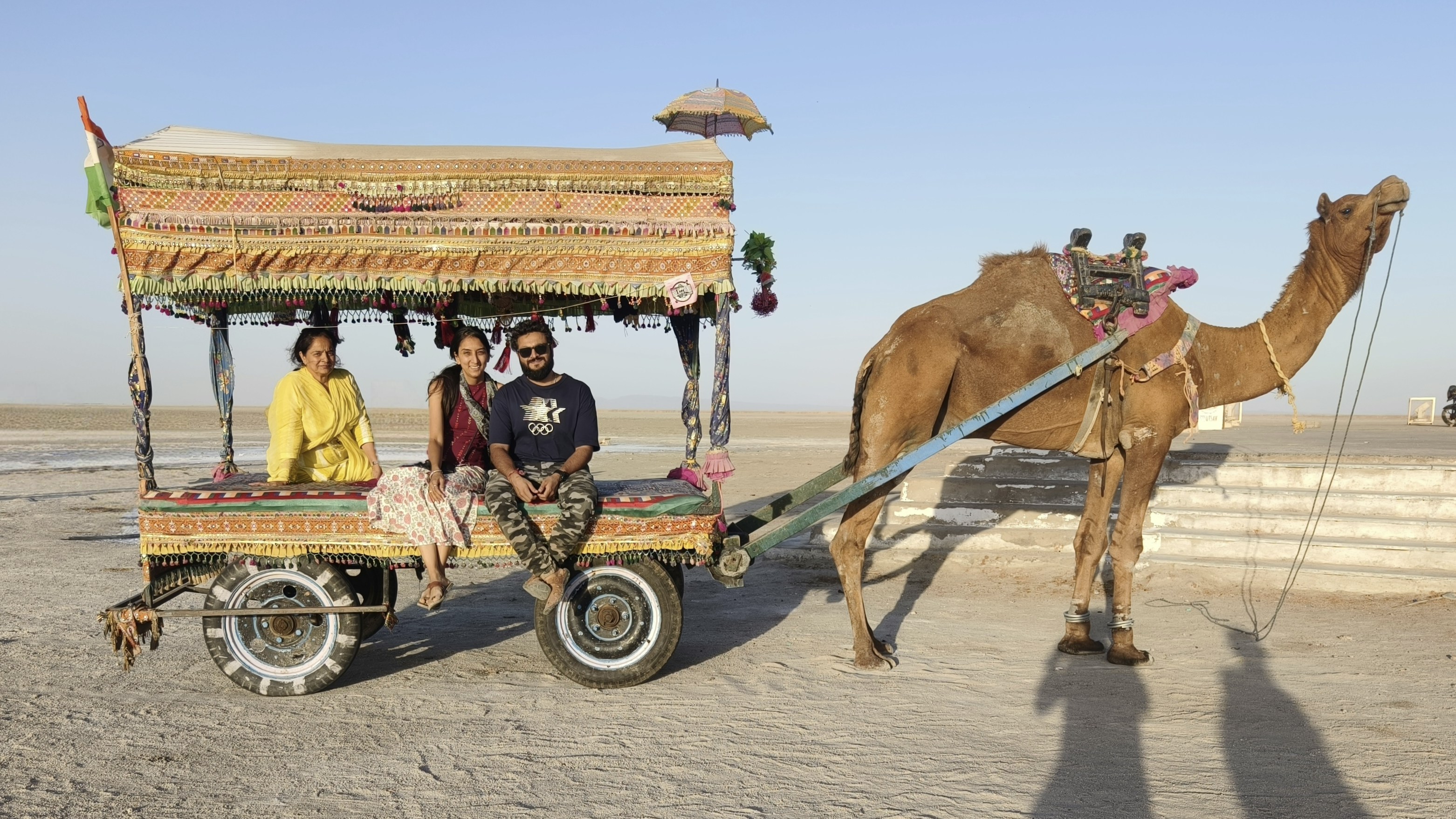 Desert Caravan: Sunlit Cart and Camel at Distant Shore