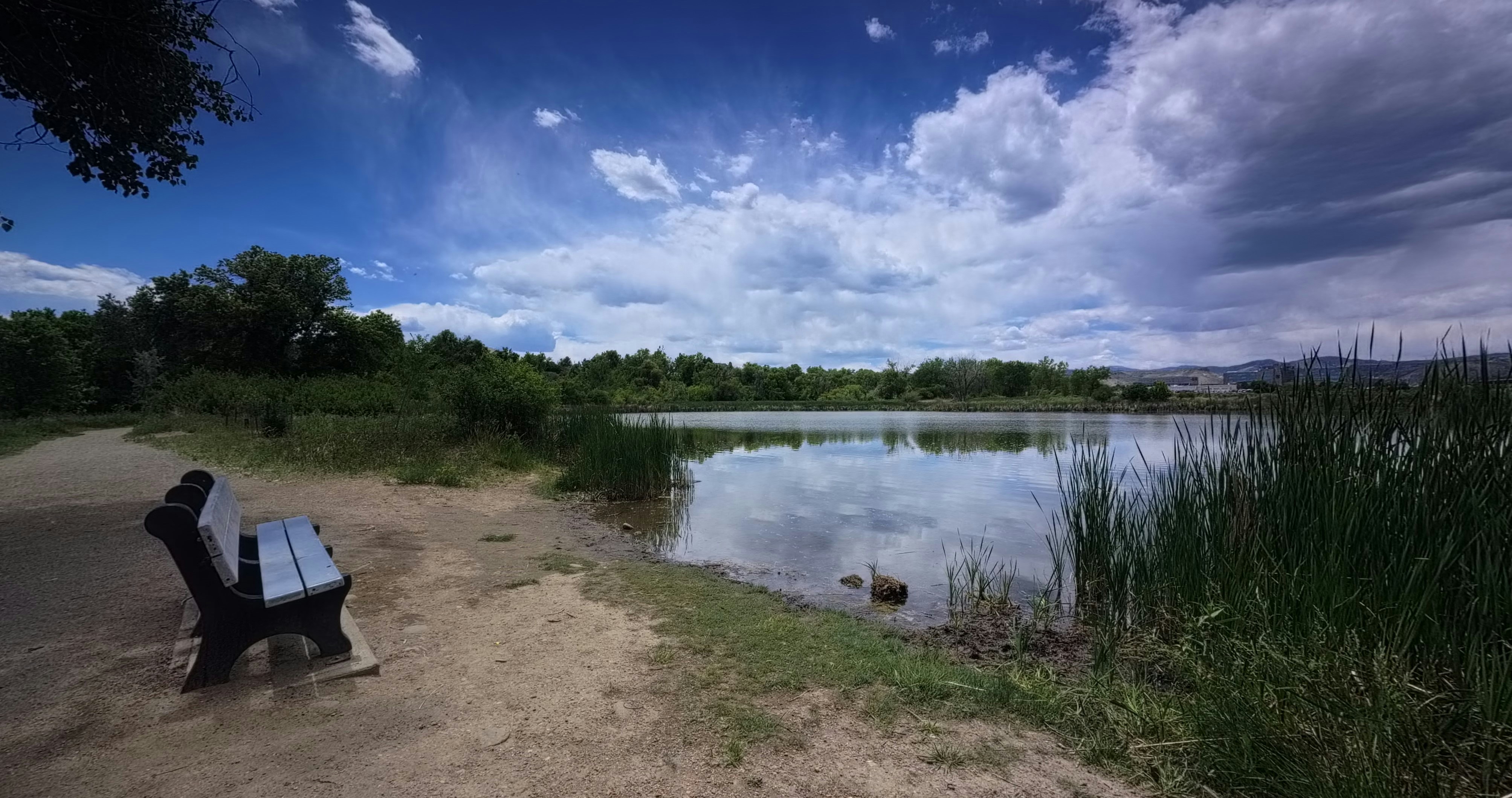 Bench by the Lake: Quiet Pathway into a Wide Sky