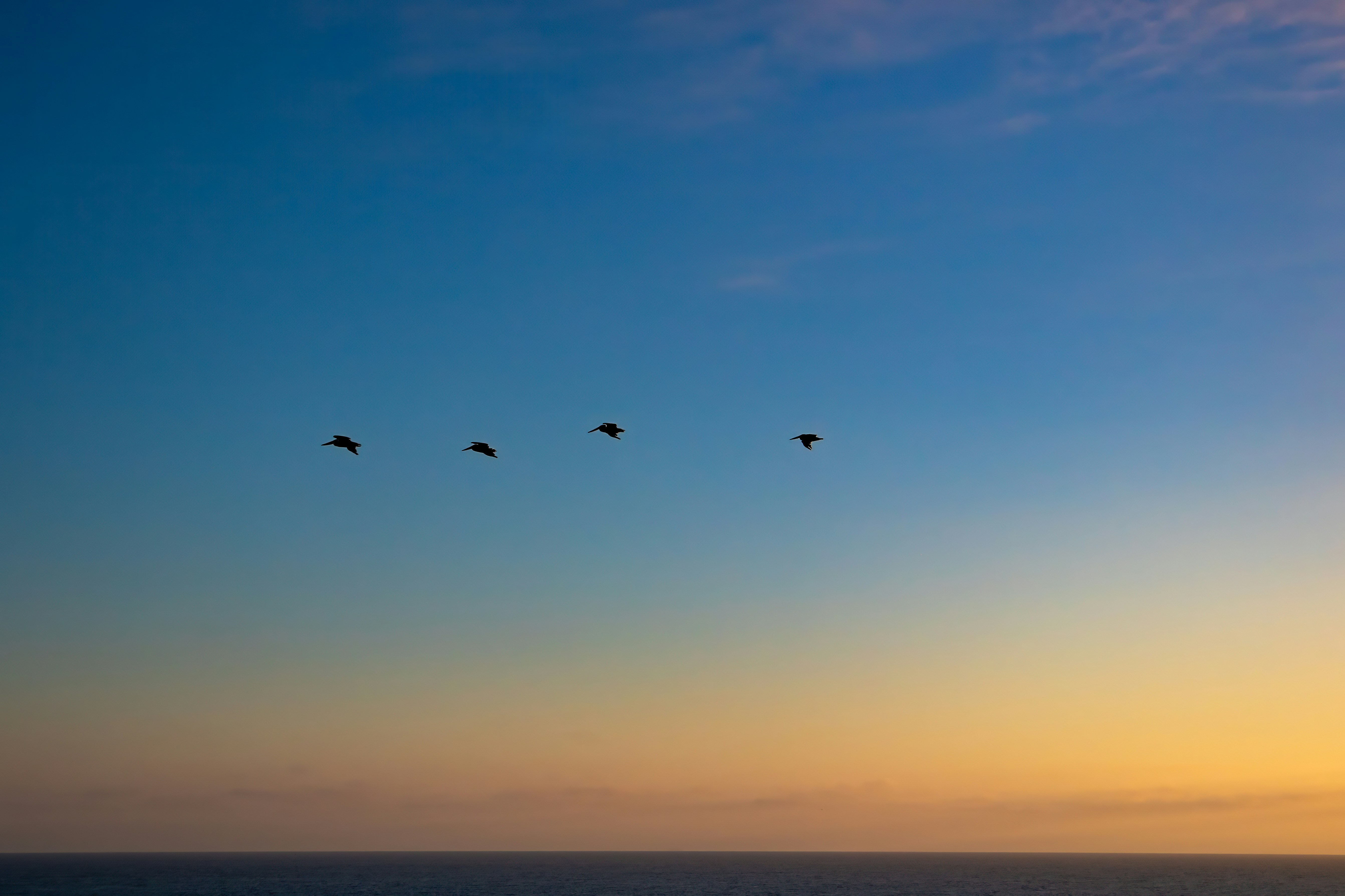 Five Wisps Over a Quiet Horizon at Dusk