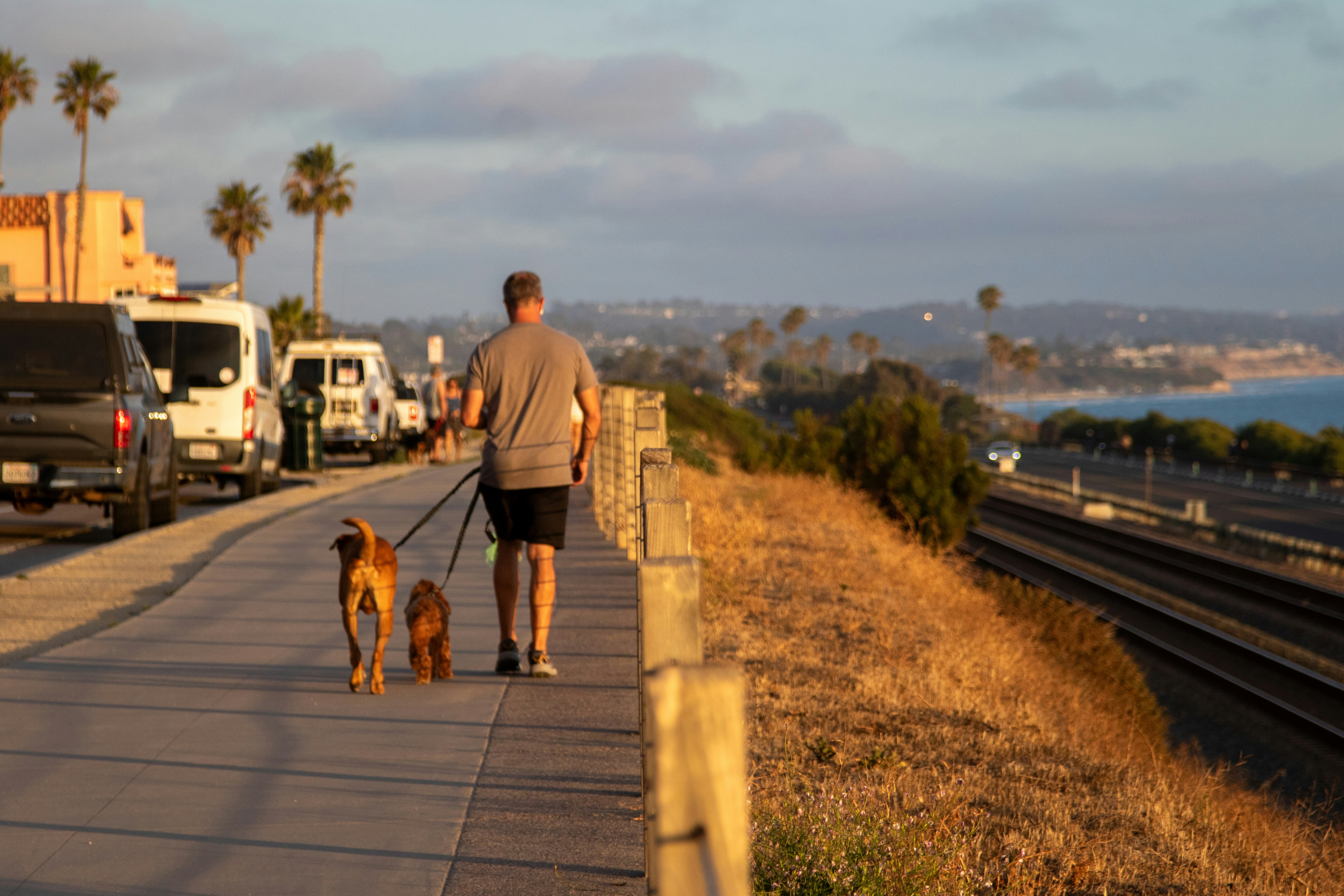 Man Walking Two Dogs Along Coastal Promenade at Sunset