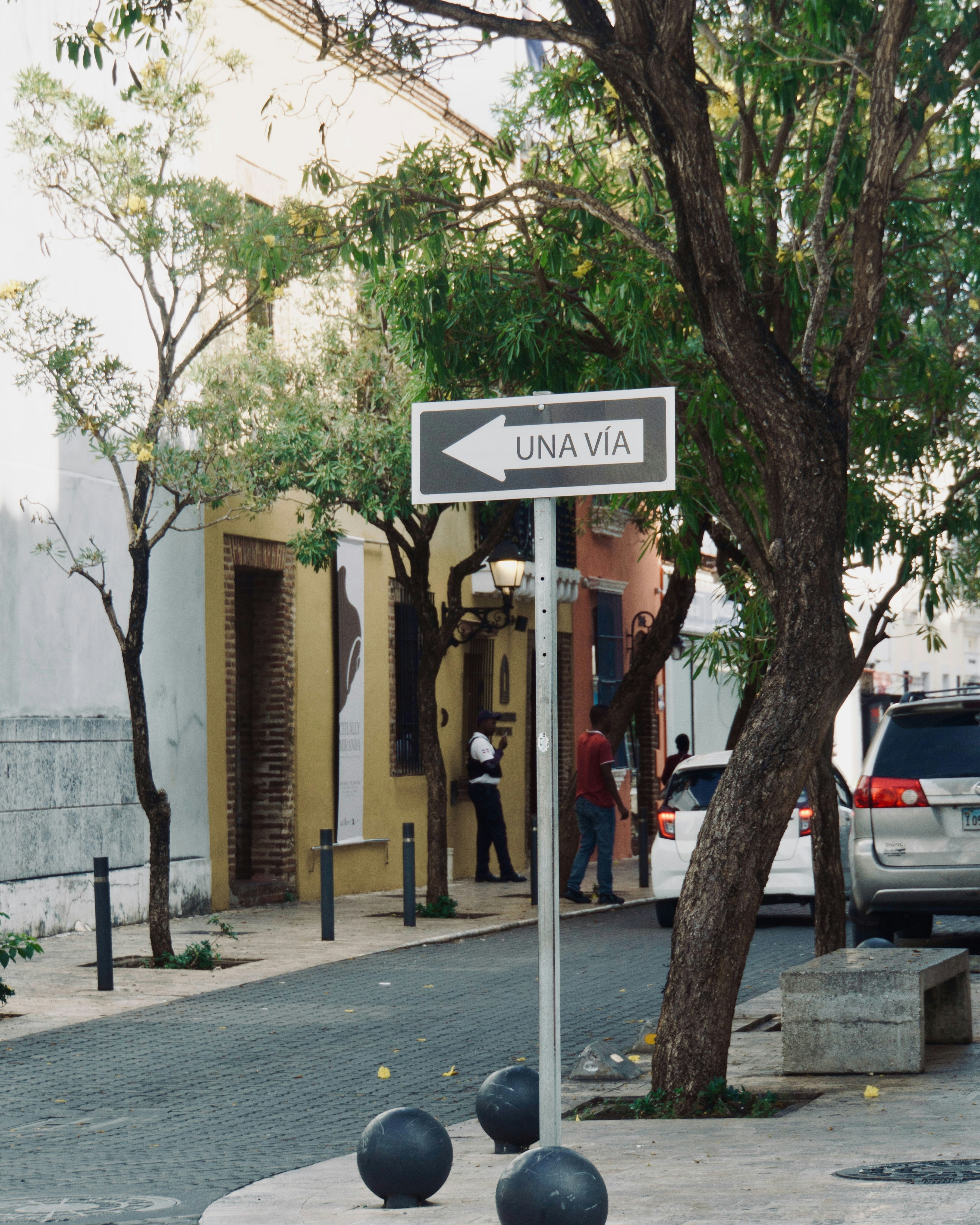 Street Sign and Tree-lined Alleyway: A Quiet Urban Corridor