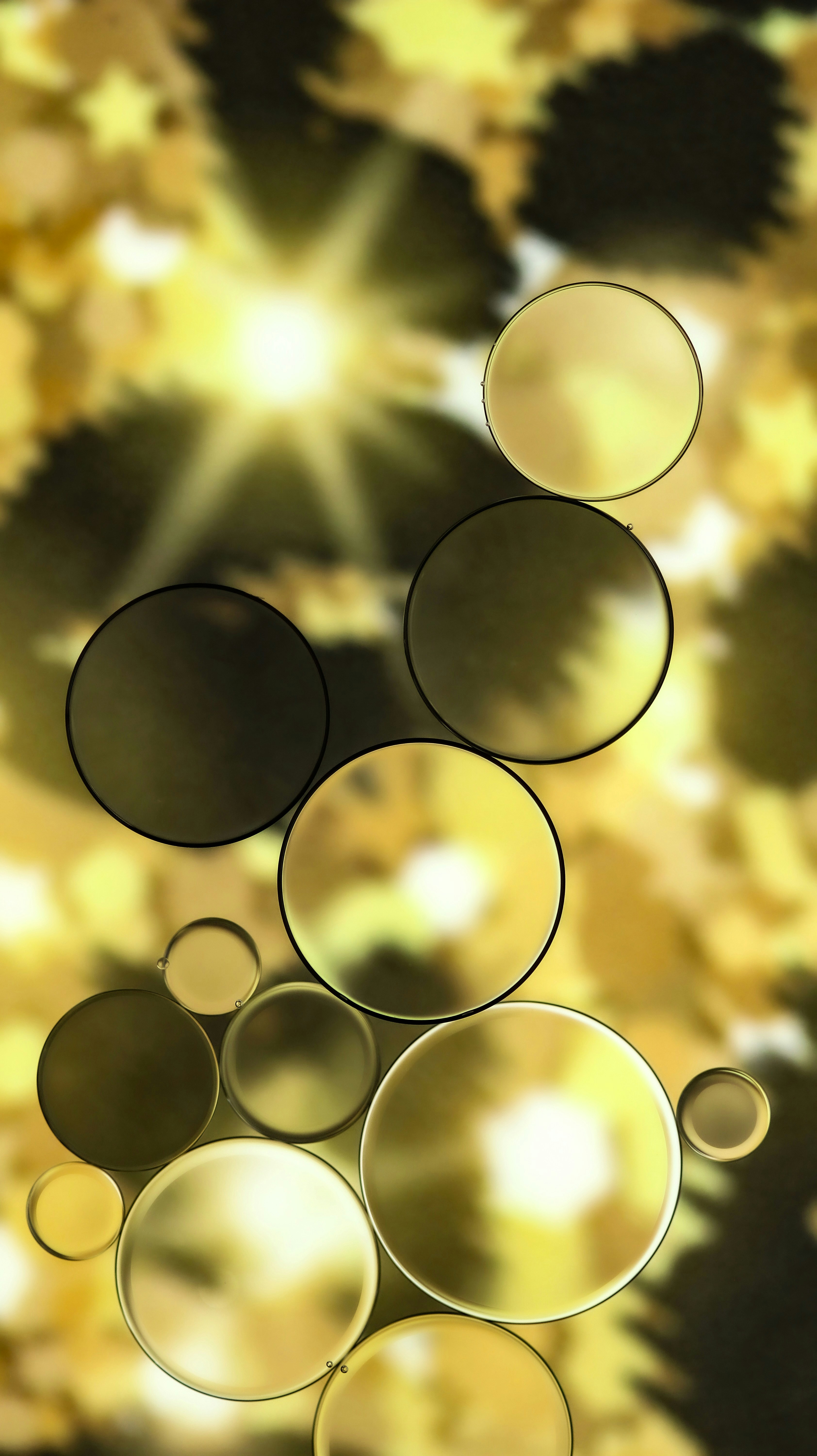 Golden Bubbles in a Blur of Autumn Light