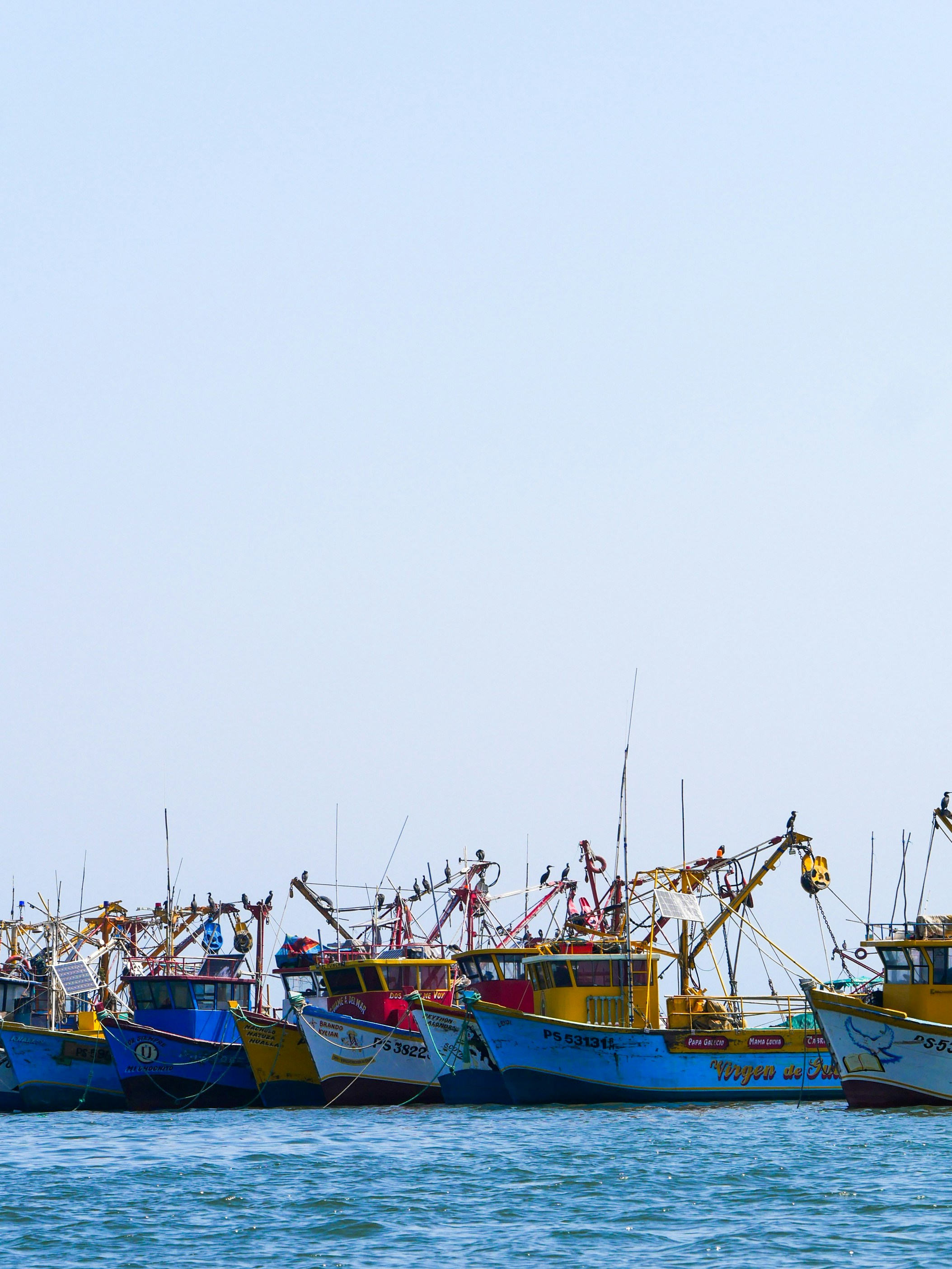 Colorful Fleet at Dusk: A Row of Fishing Boats Resting on Calm Seas