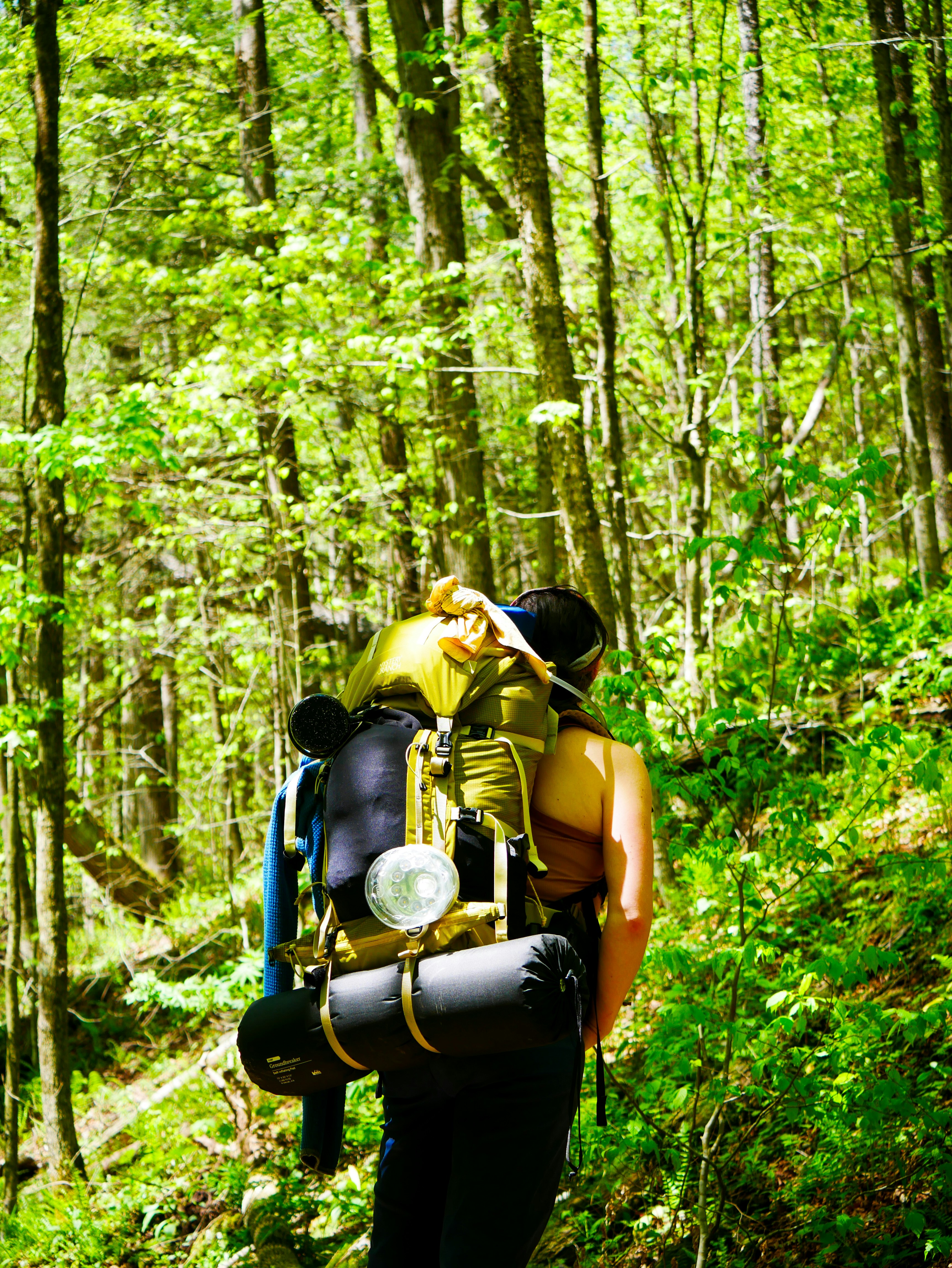 Trailbound: A Hiker Lifts Into the Green Canyon