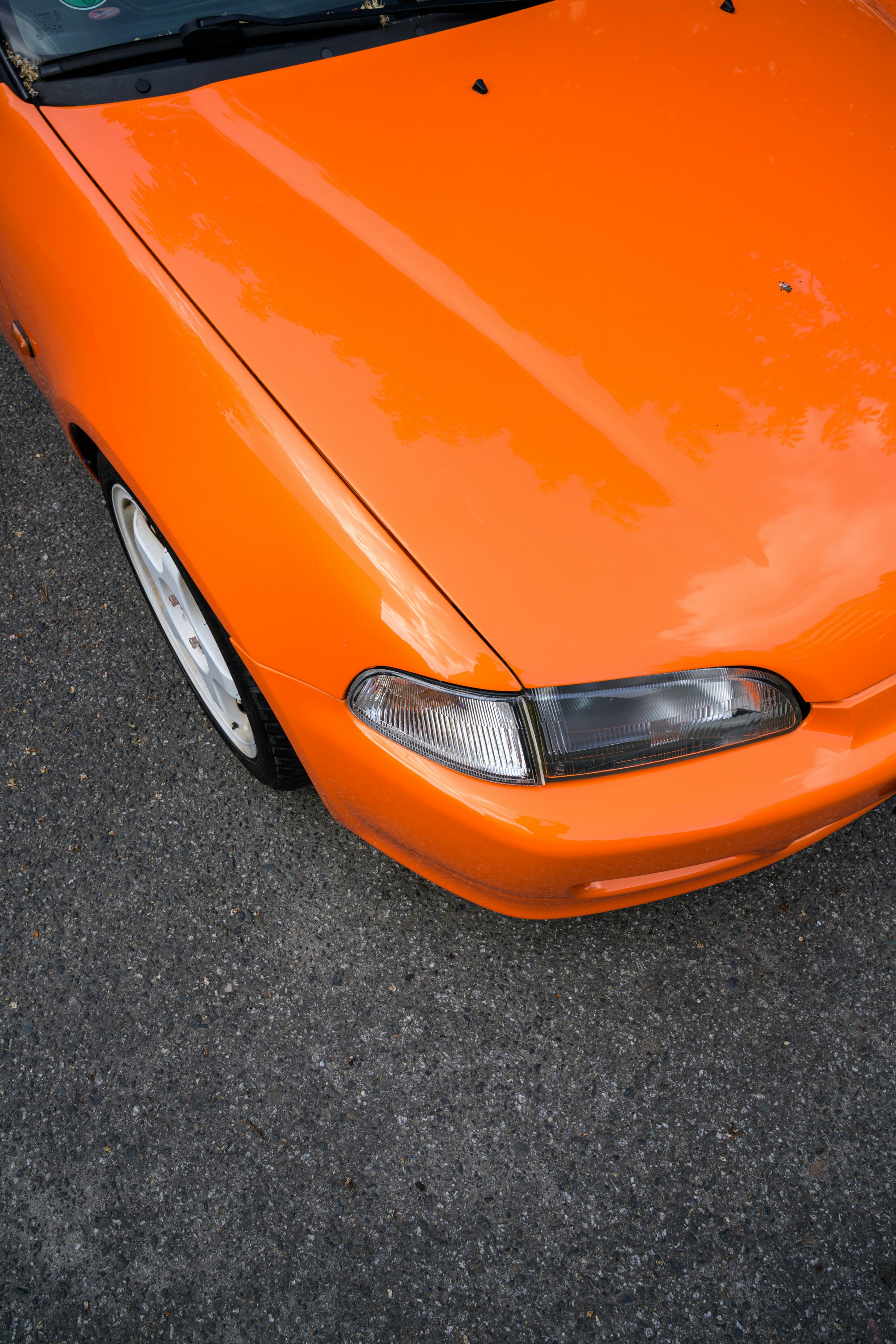 Orange Classic: The Front-Fender Glow of a Vintage Car