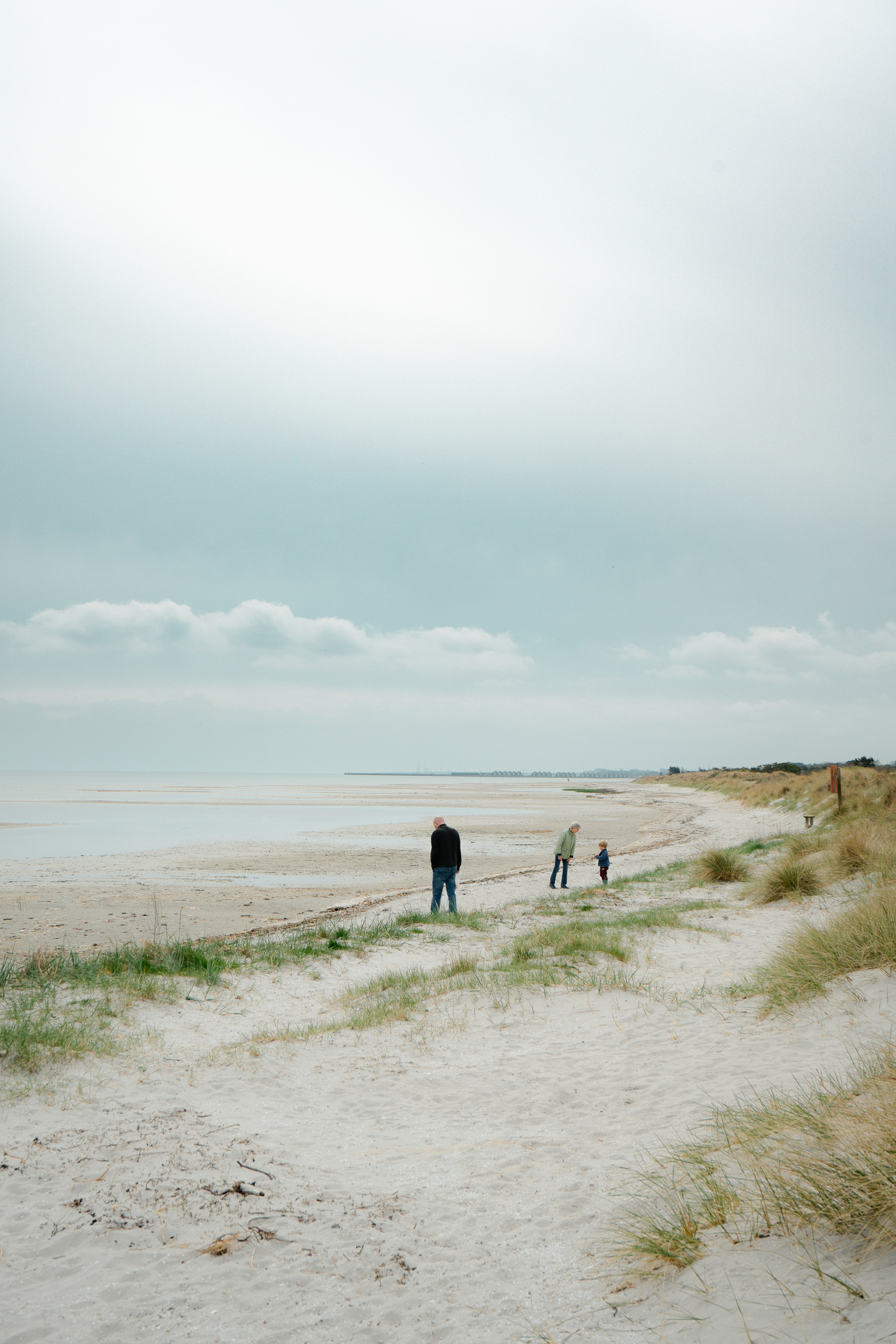 Quiet Coastal Portrait: A Family Stroll Along Dune-Grass and Shore