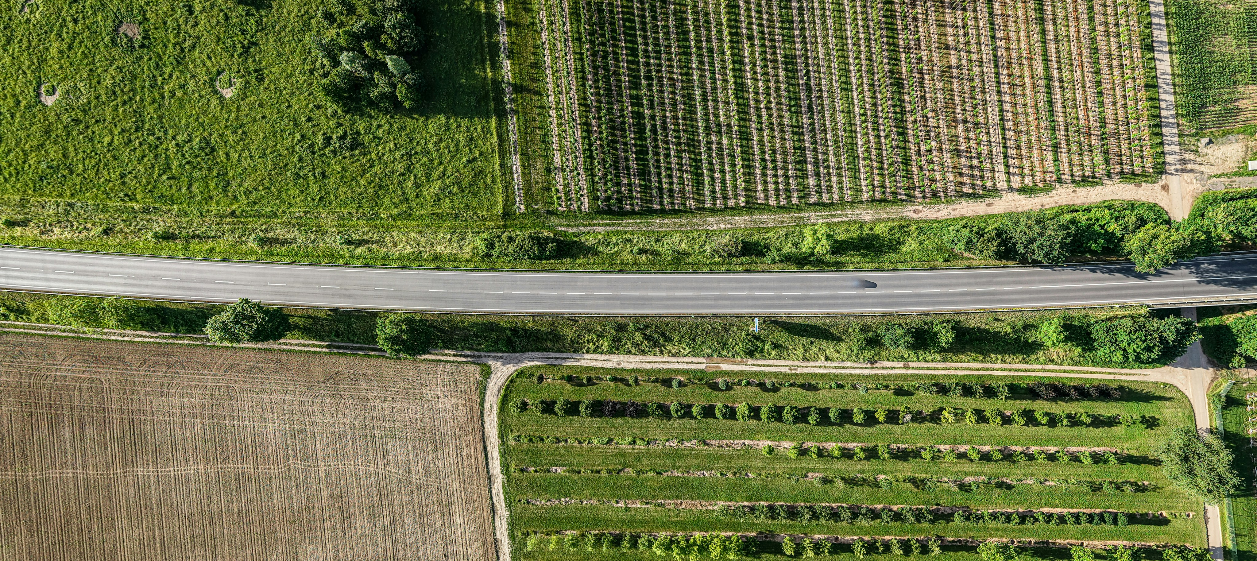 Aerial view of a road through diverse agricultural fields.